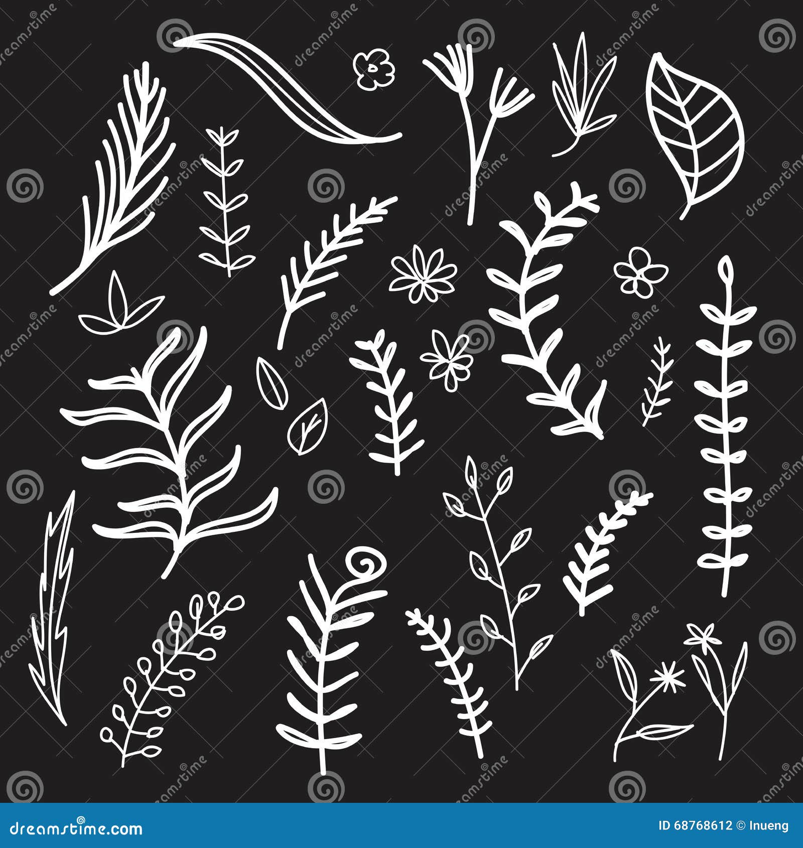 Hand Drawn Natural Decoration Elements Stock Vector - Illustration of ...