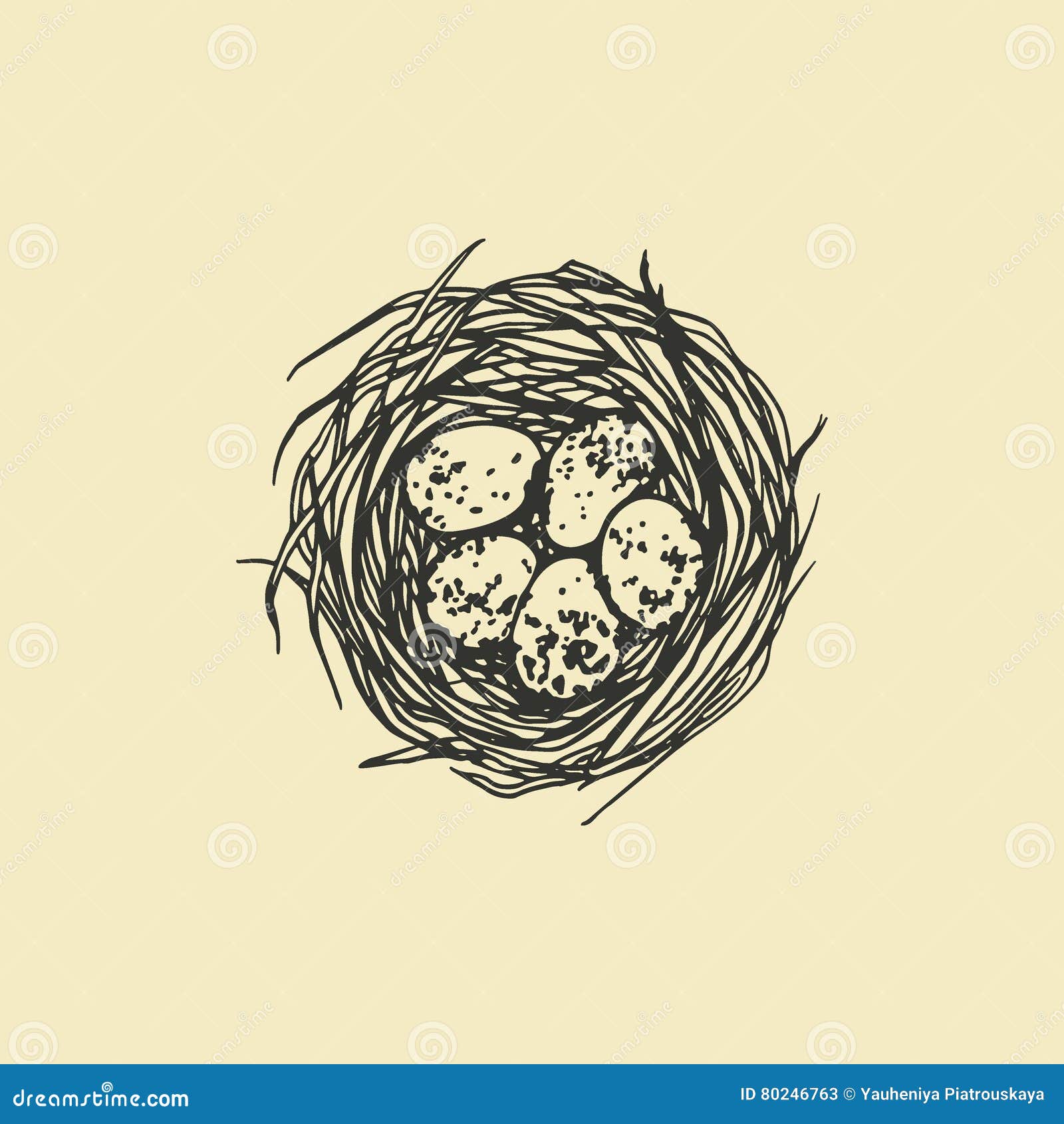 Hand Drawn Nest Illustration Stock Vector - Illustration of sign, icon ...