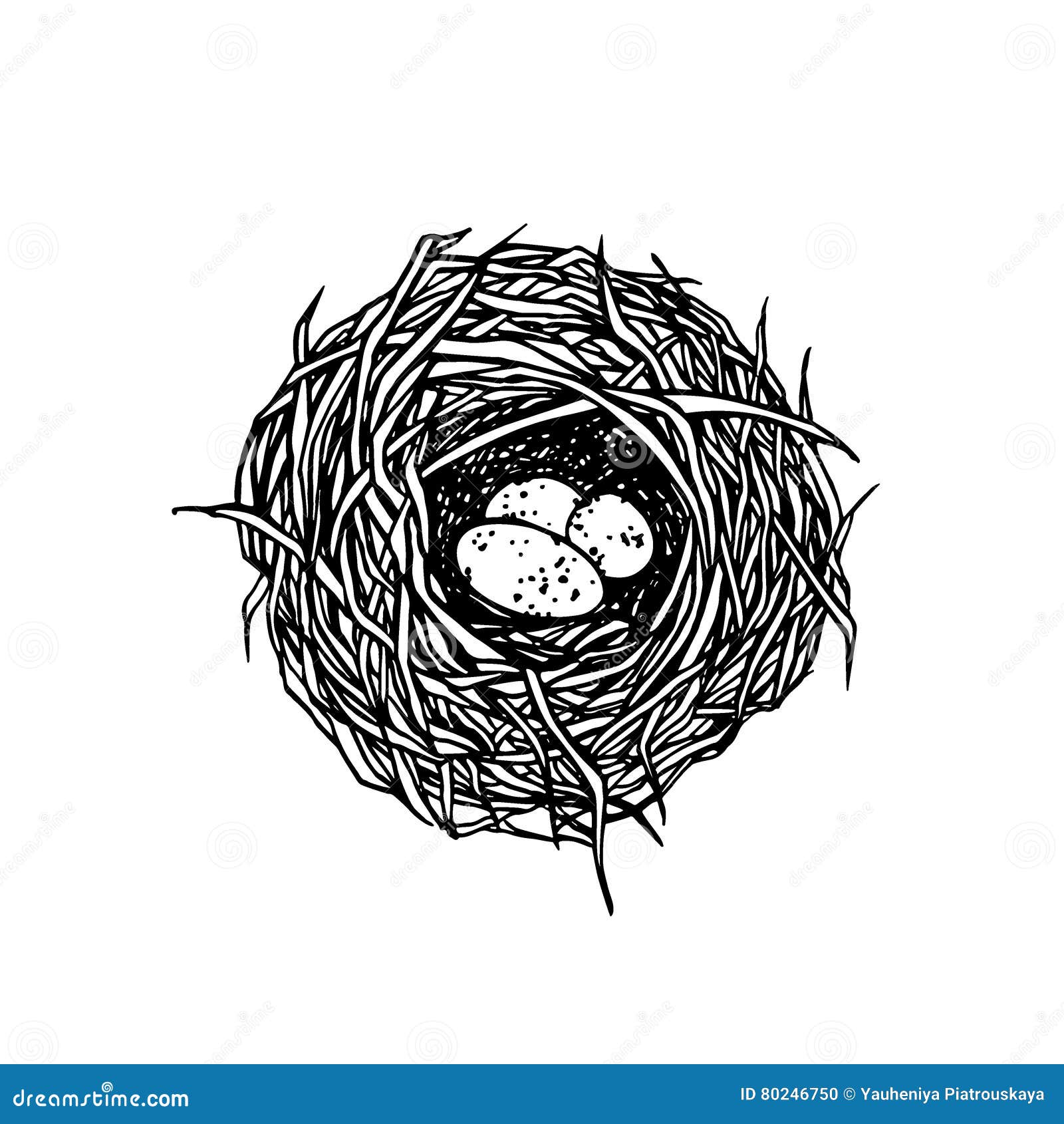 Hand Drawn Nest Illustration Stock Vector - Illustration of life ...