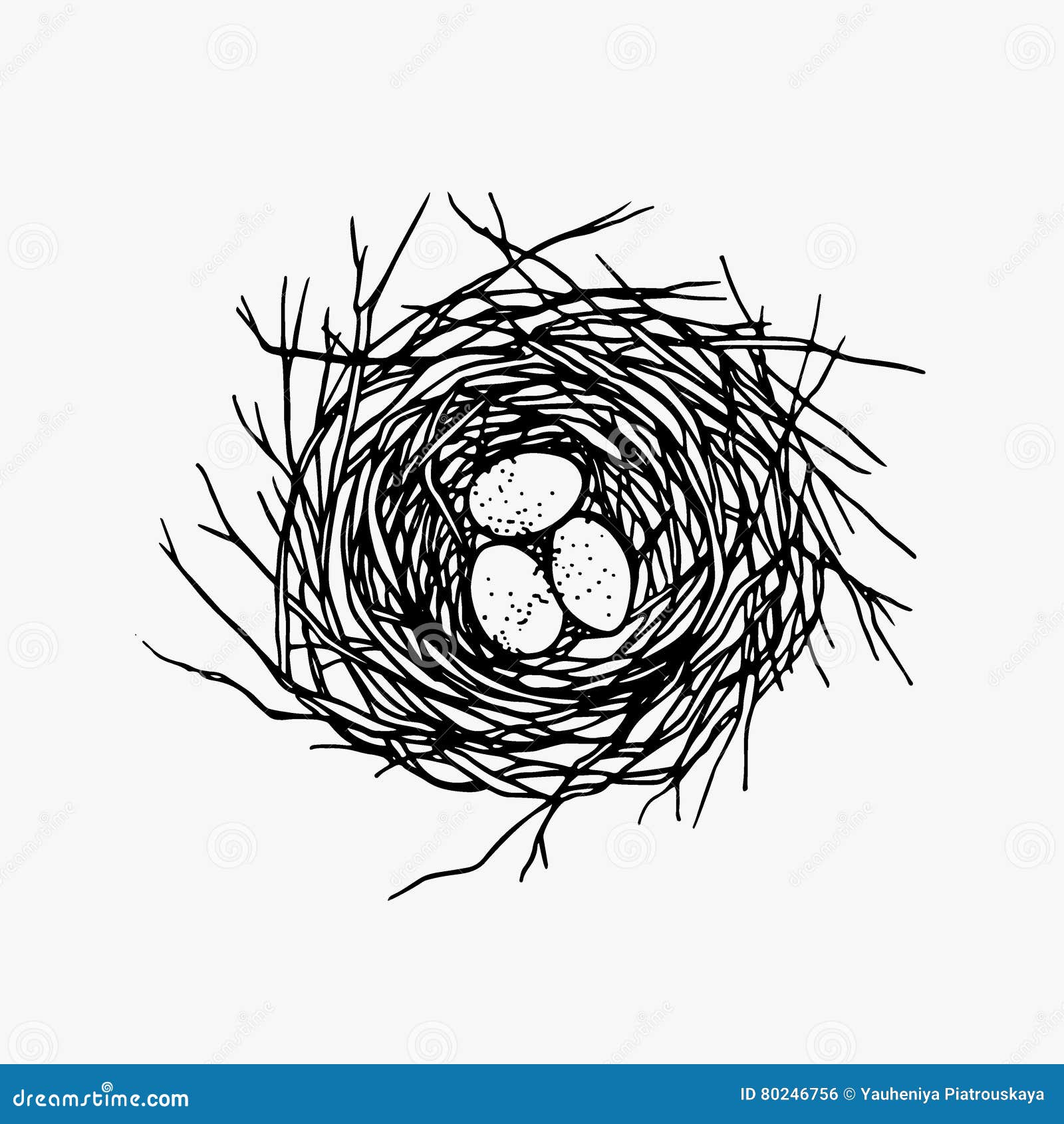 Hand Drawn Nest Illustration Stock Vector - Illustration of life ...