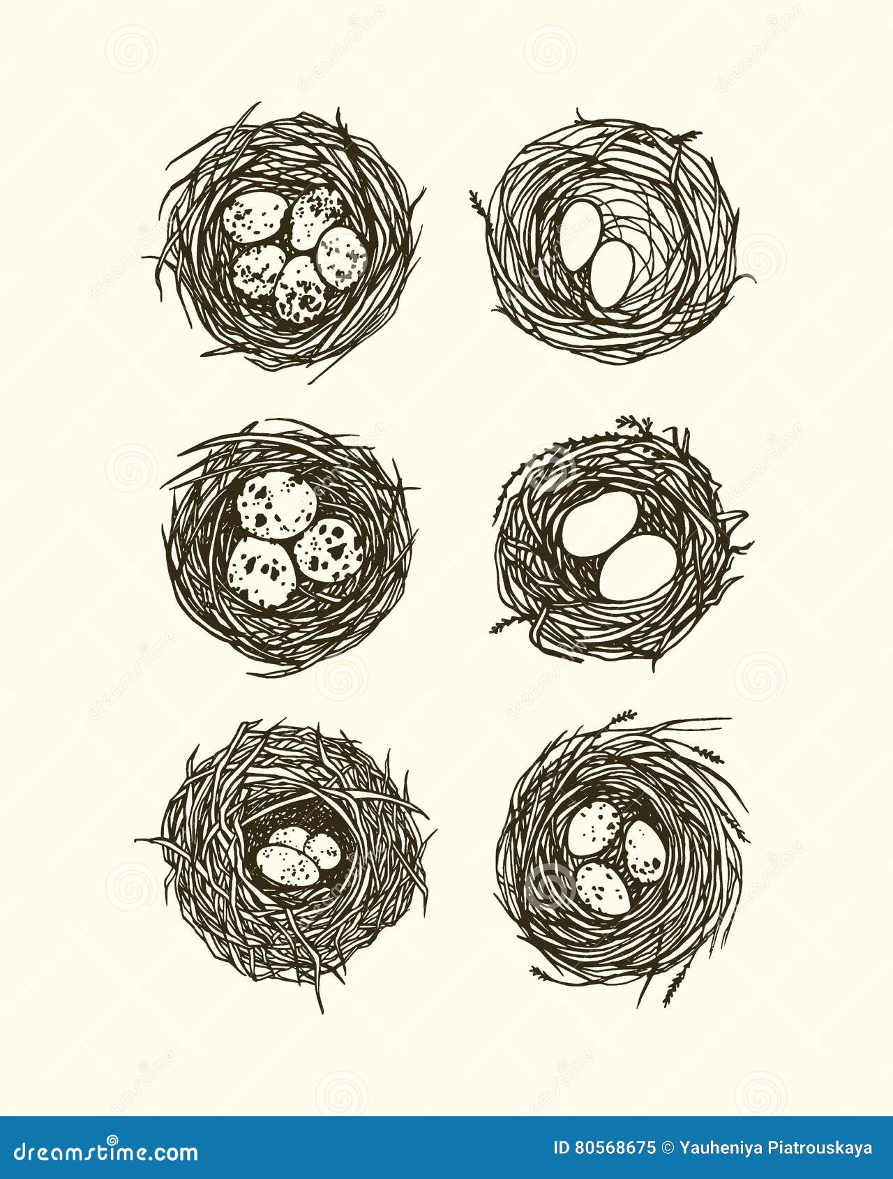 Hand Drawn Nests Illustration Cartoon Vector | CartoonDealer.com #80568675