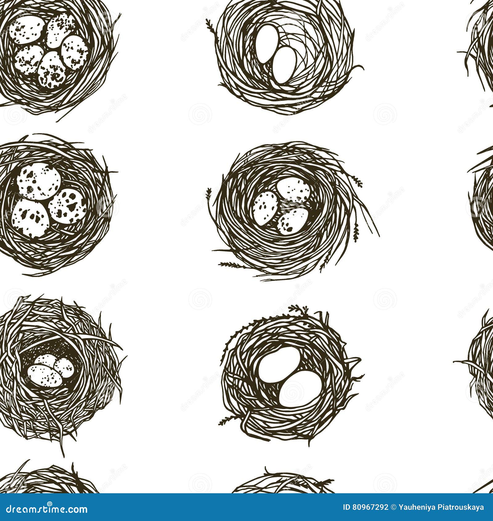 Hand drawn nests pattern stock vector. Illustration of baby - 80967292