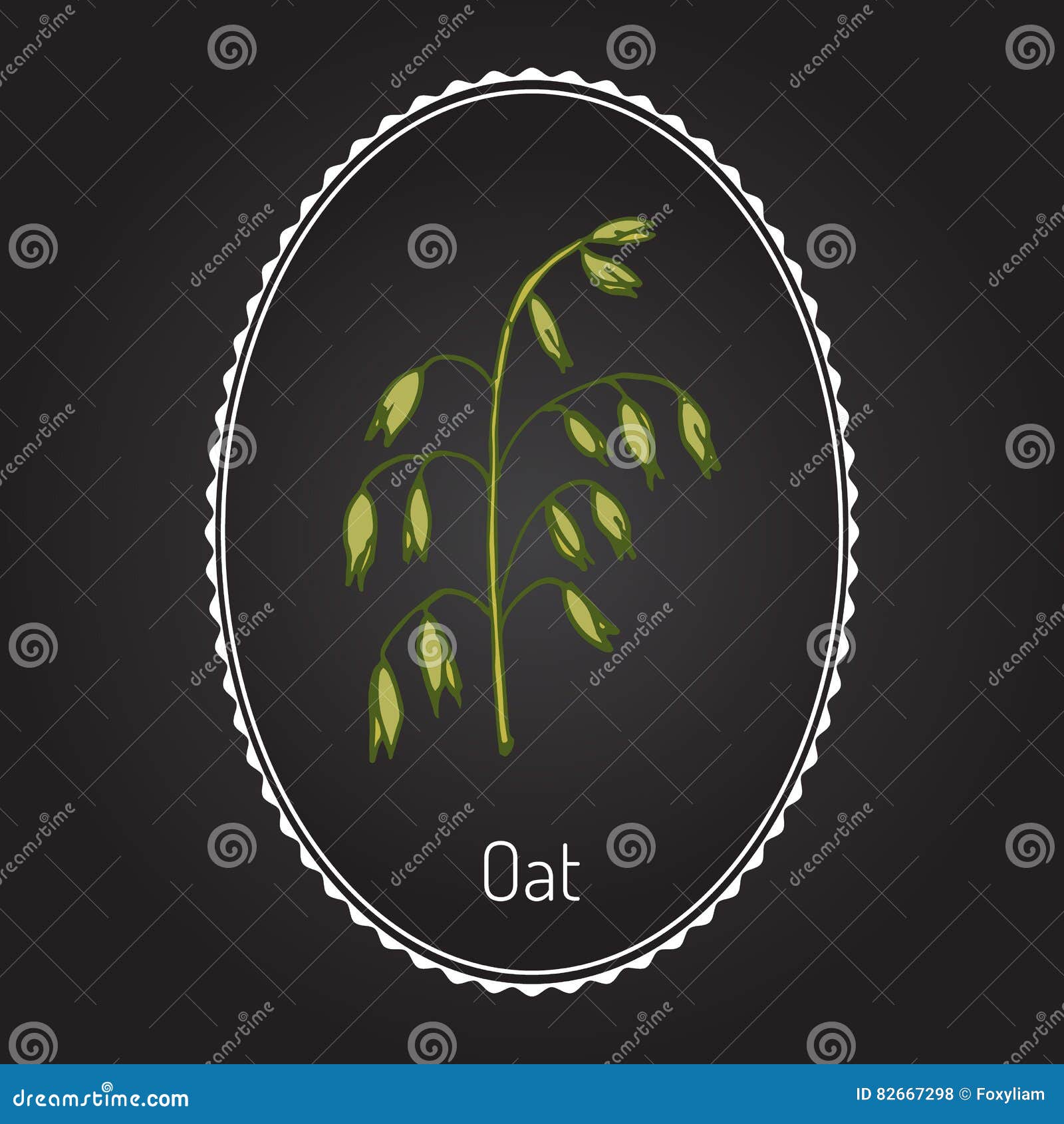 Hand Drawn Oats Ears Sketch. Stock Vector - Illustration of gluten ...