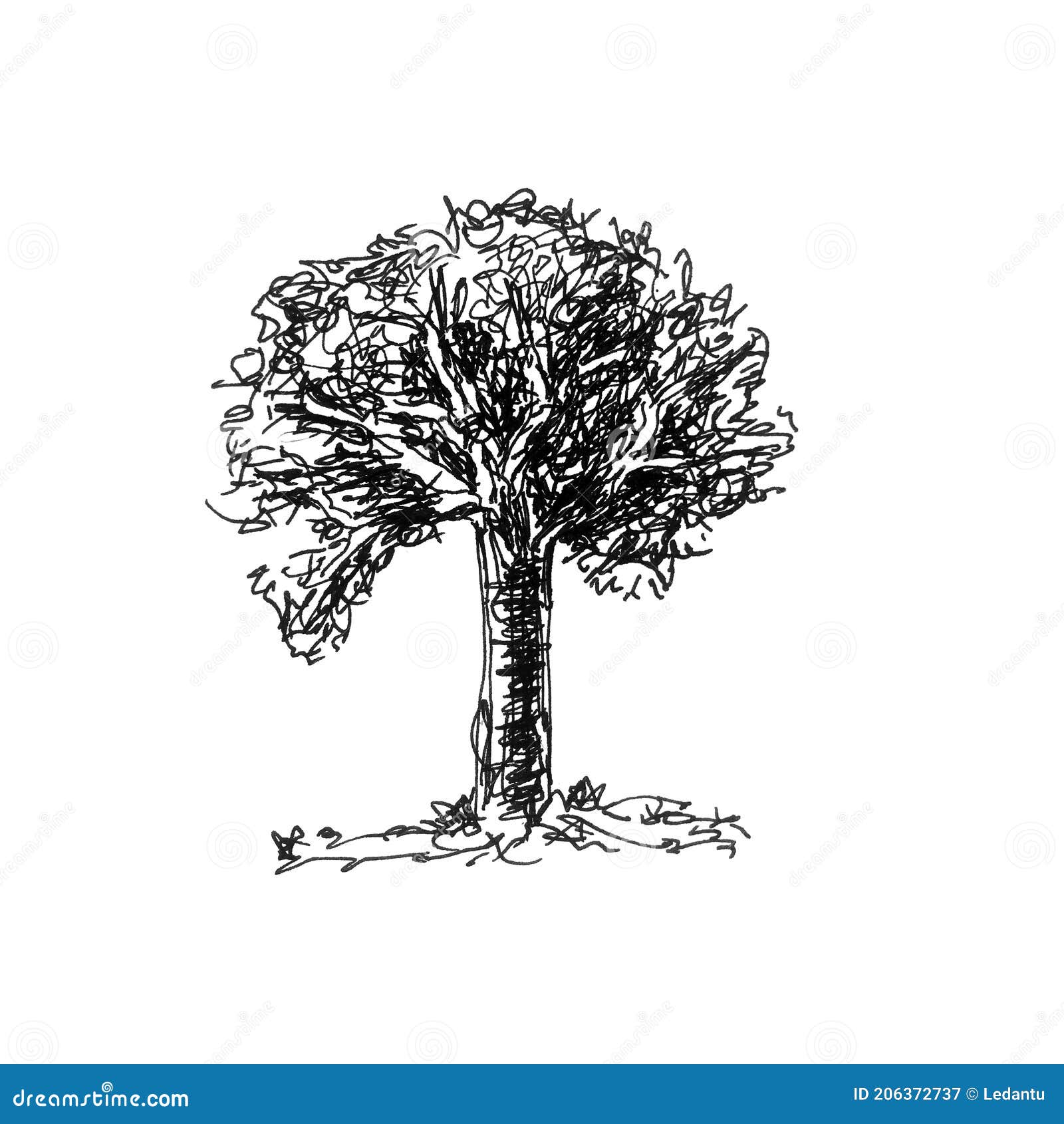 Hand Drawn Old Tree Isolated On White Background.Sketch Illustration ...