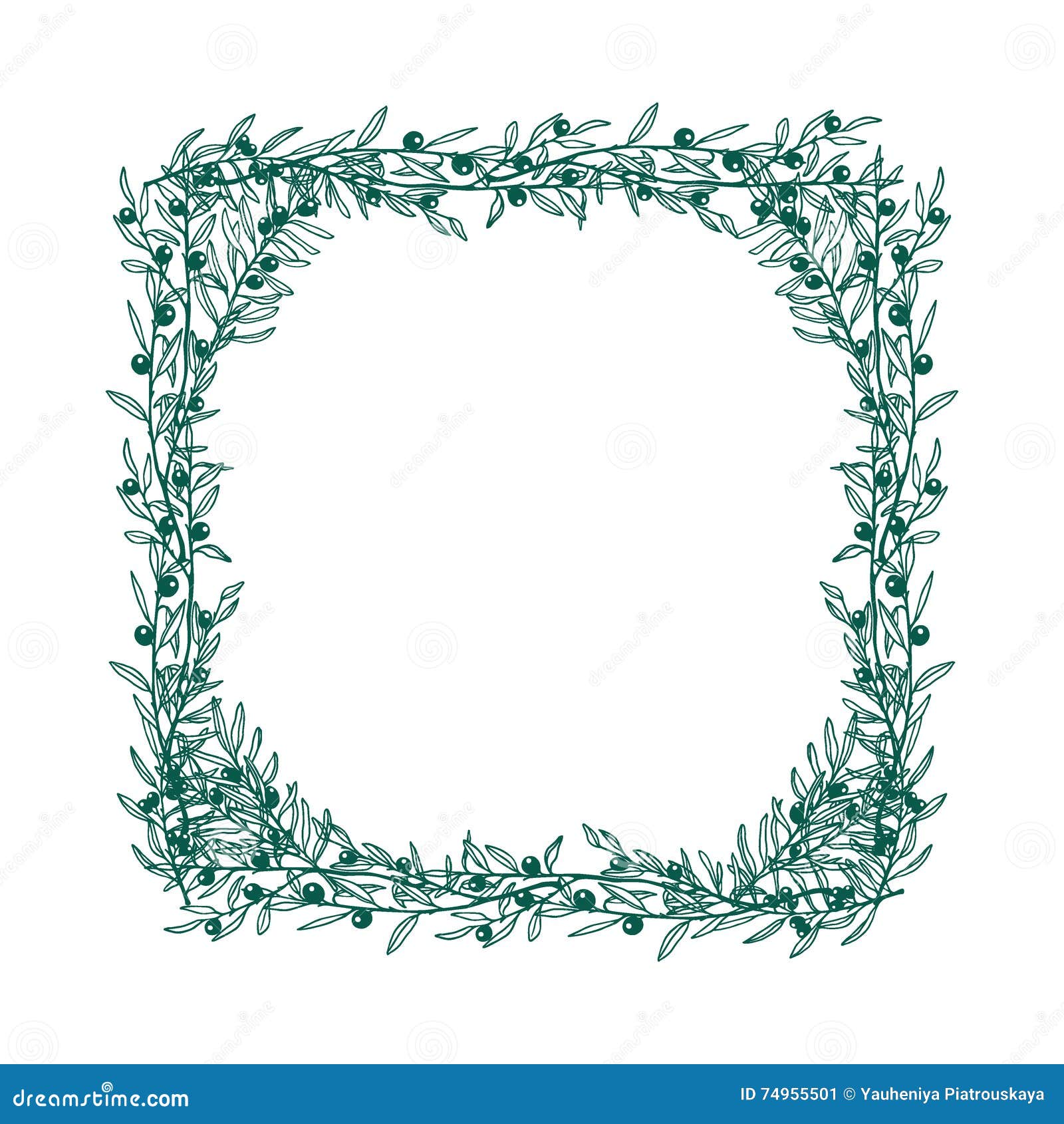 Hand drawn olive borders stock vector. Illustration of isolated - 74955501