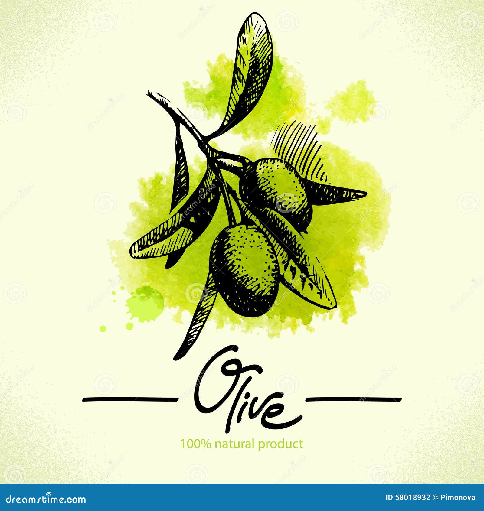 Hand Drawn Olive Illustration with Watercolor Stock Vector ...