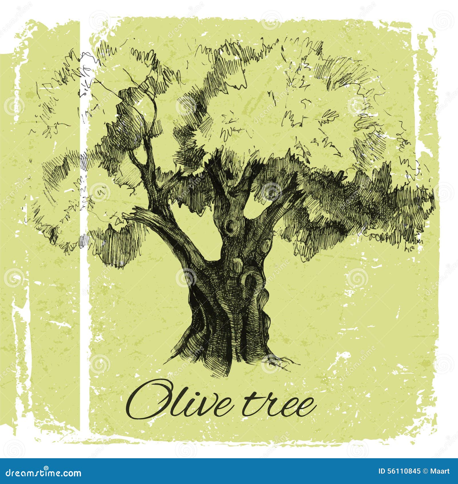 Hand drawn olive tree stock vector. Illustration of healthy - 56110845
