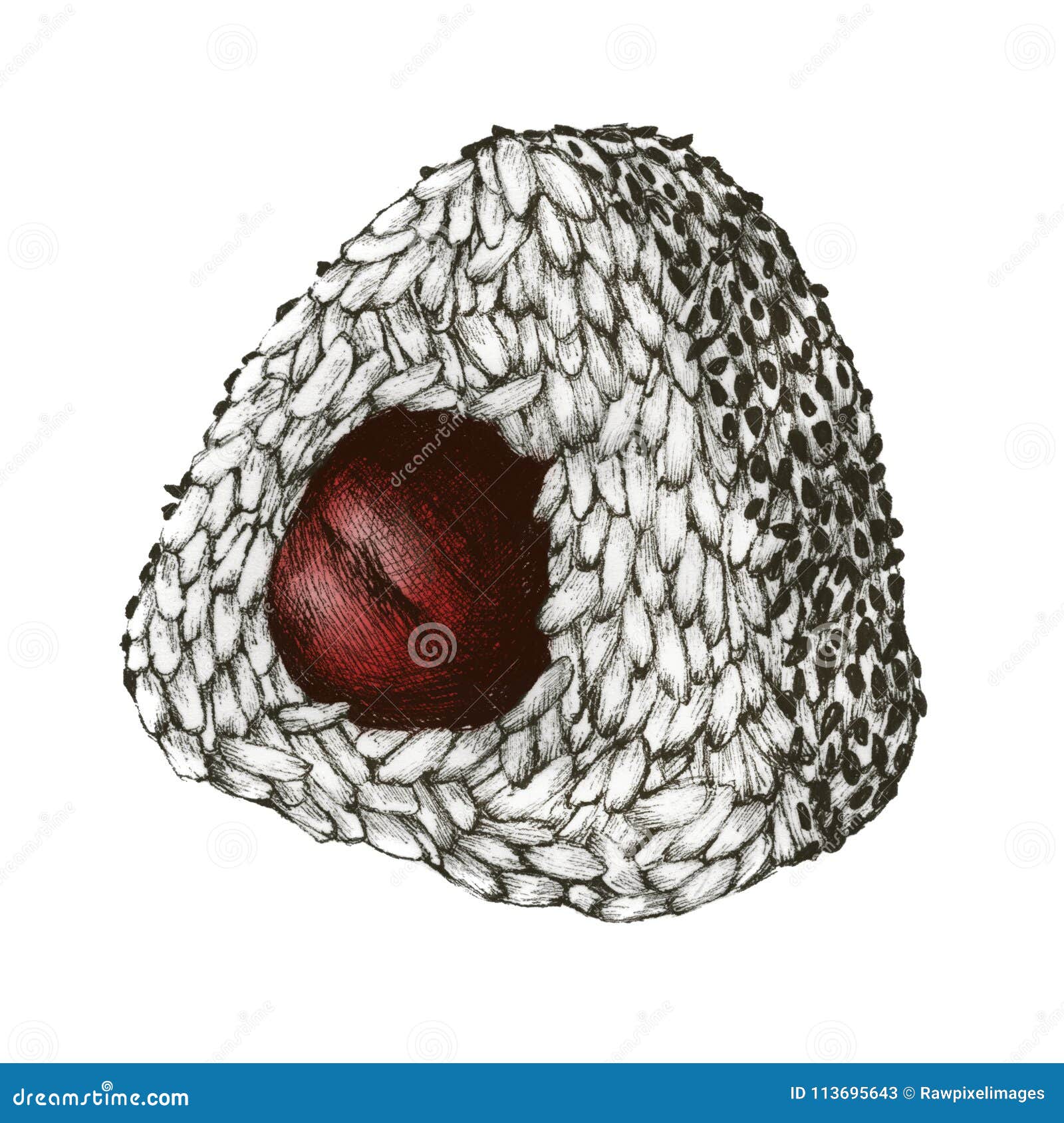 Hand Drawn Onigiri Japanese Food Stock Illustration - Illustration of ...
