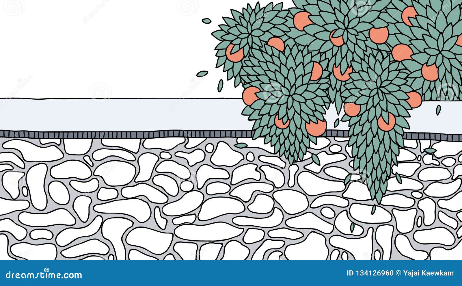 Hand Drawn Orange Fruit and Leaves Tree with Stone Wall Stock Vector ...