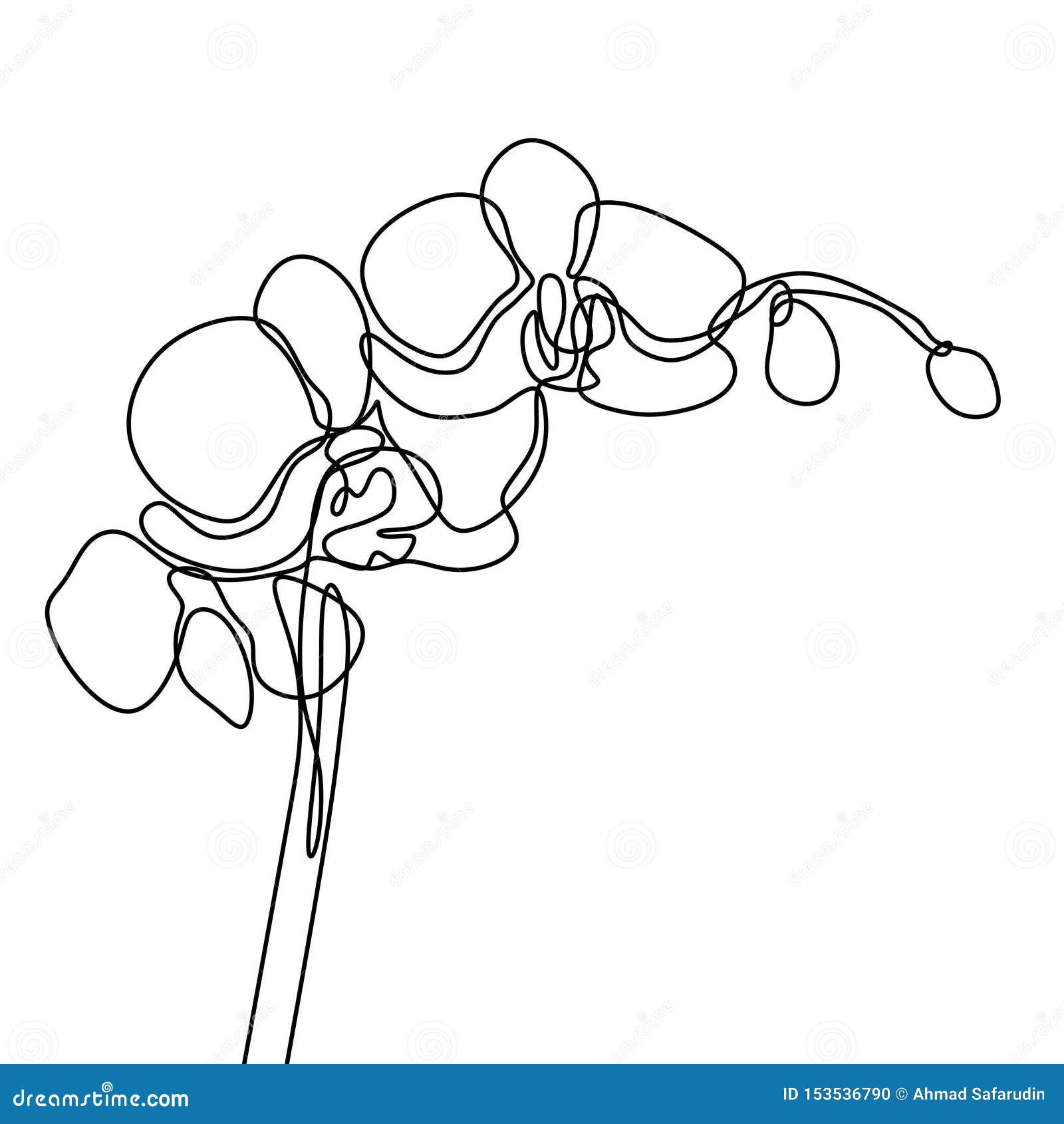 Vector Minimalist Linear Woman Illustration Abstract Continuous Line
