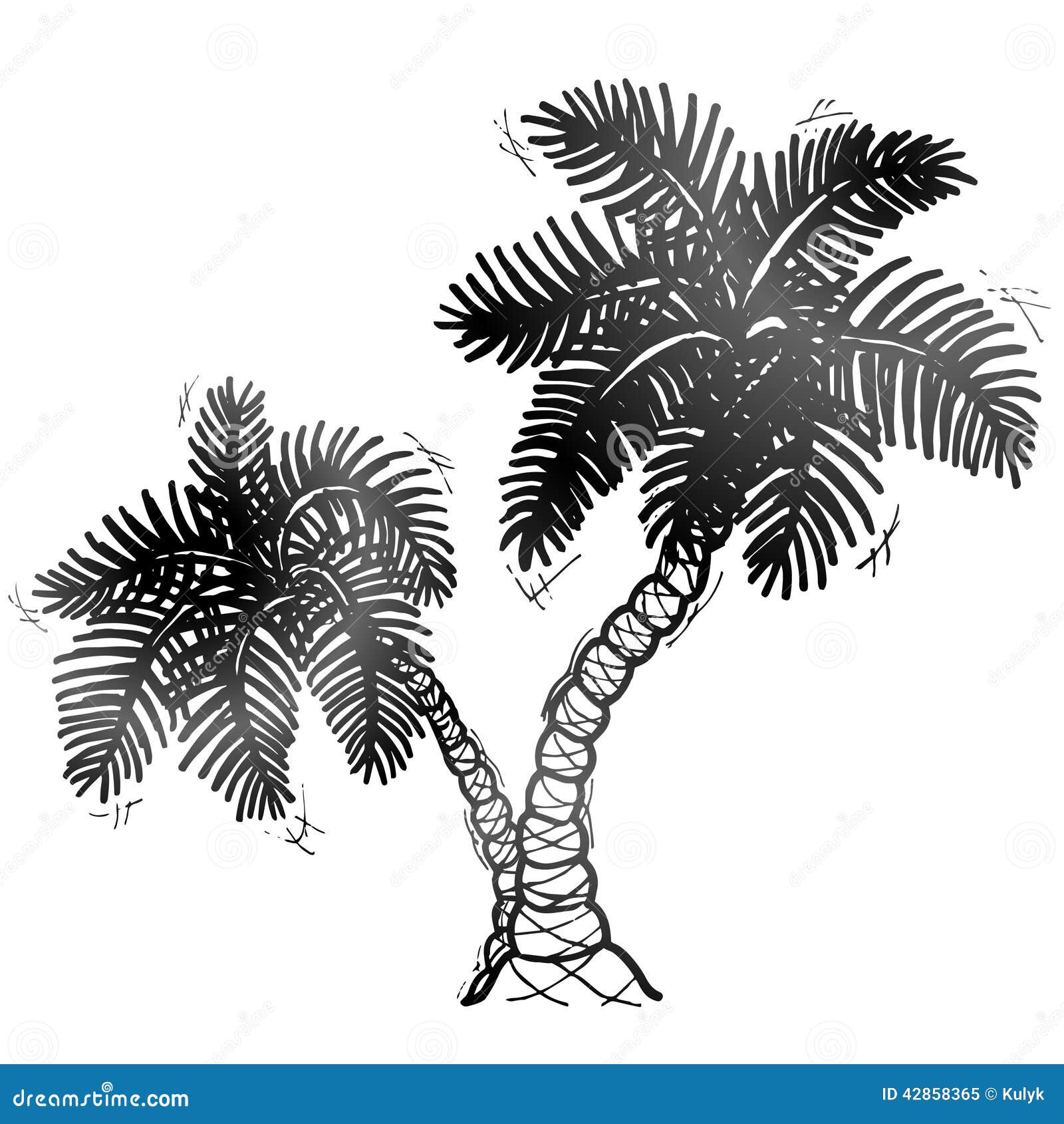 Hand drawn palm tree stock vector. Illustration of nature - 42858365 Hand drawn palm tree stock vector. Illustration of nature - 42858365