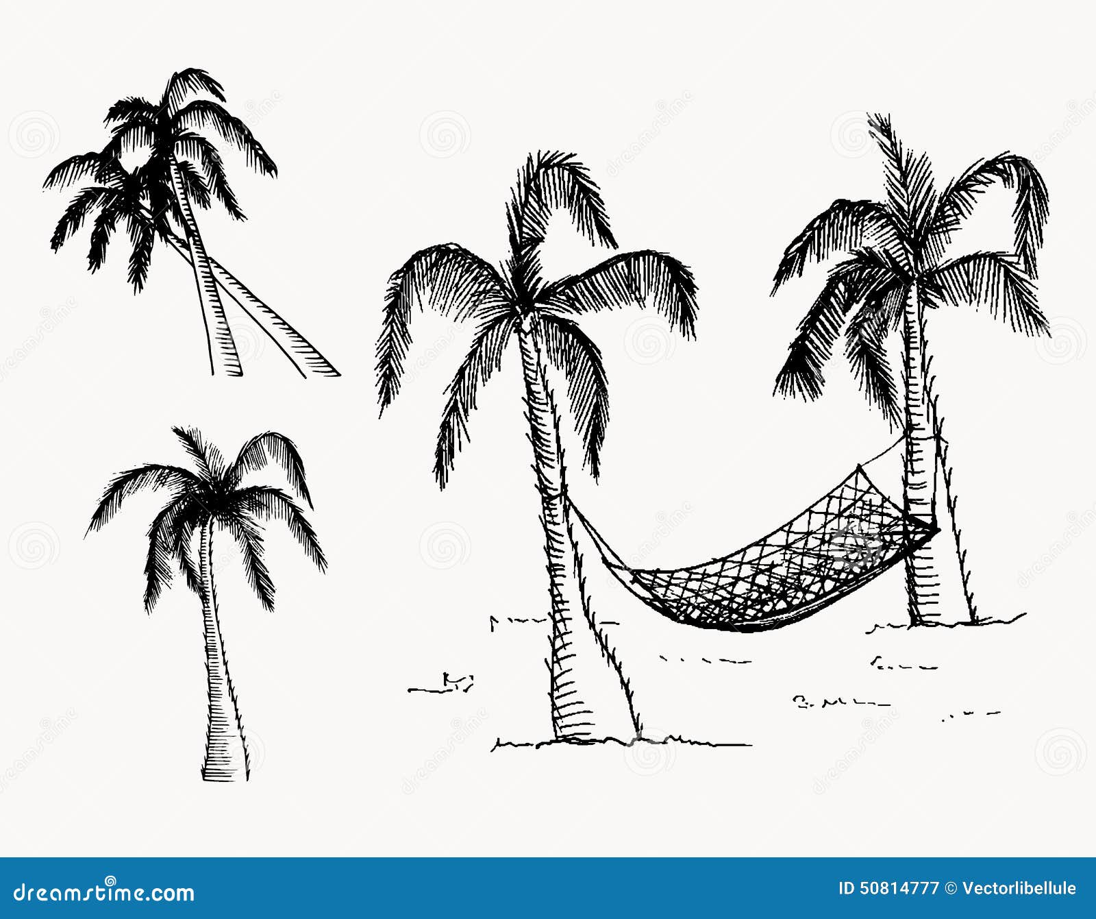 Hand Drawn Palm Trees. Vector Stock Vector - Illustration of hand ...