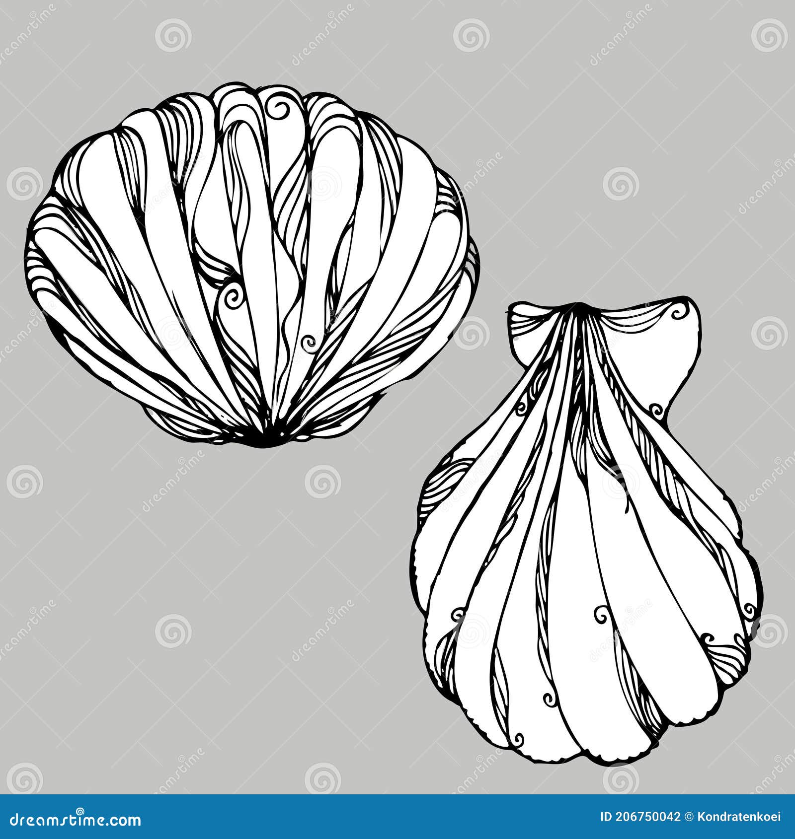 Hand Drawn Pattern Black and White Set of Shells. Sketch for Tattoo ...