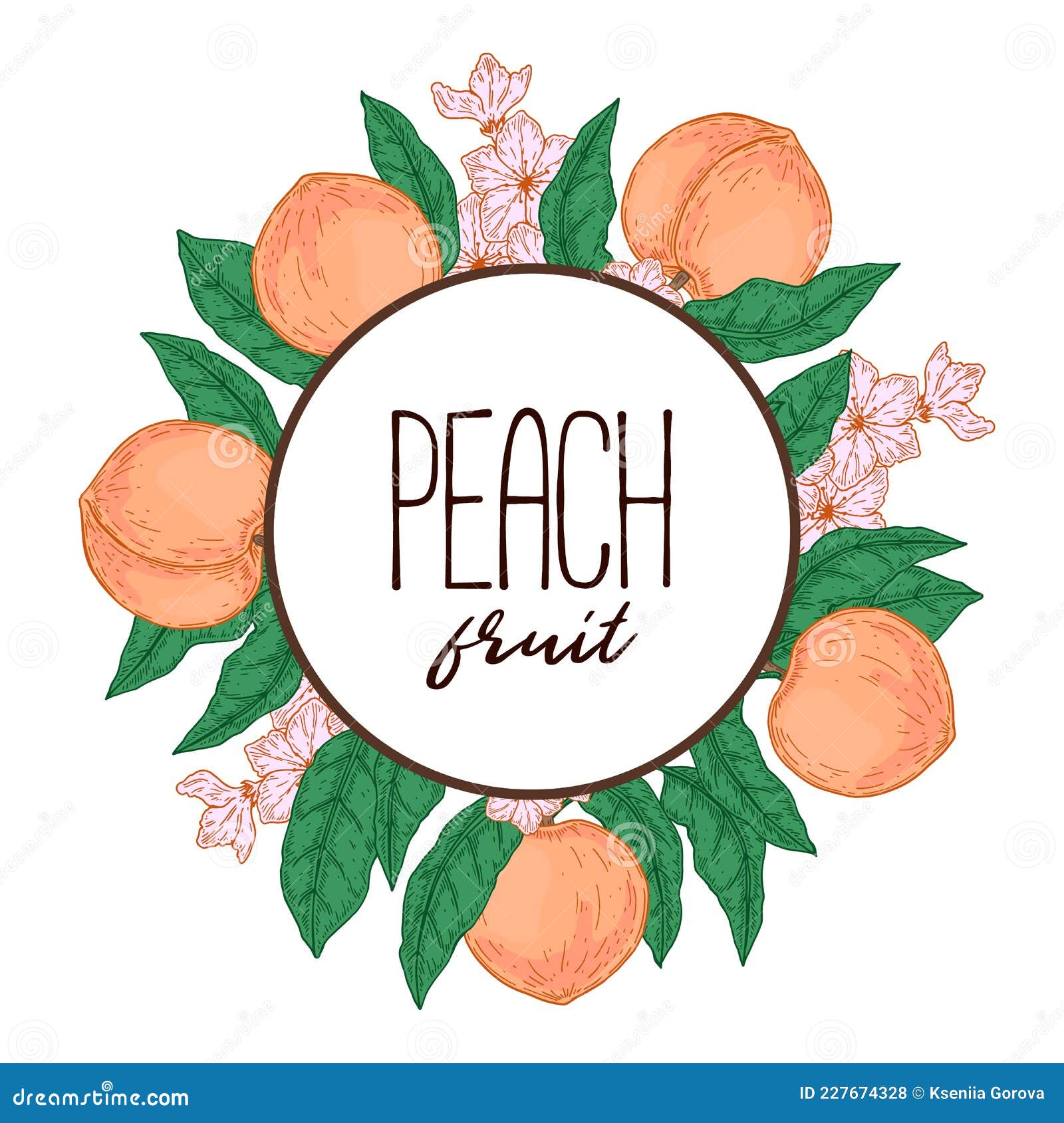 Hand Drawn Peach Frame. Vector Illustration in Sketch Style Stock ...