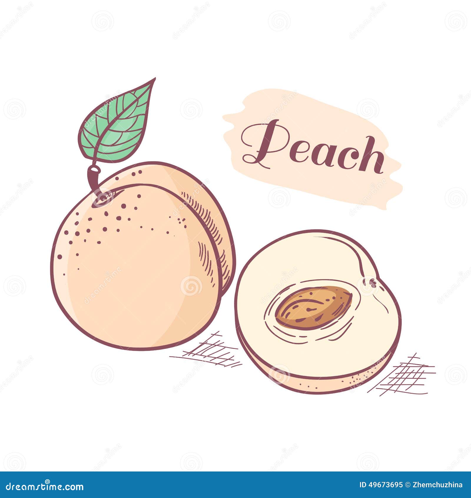 Hand Drawn Peach with Slice Stock Vector - Illustration of icon ...