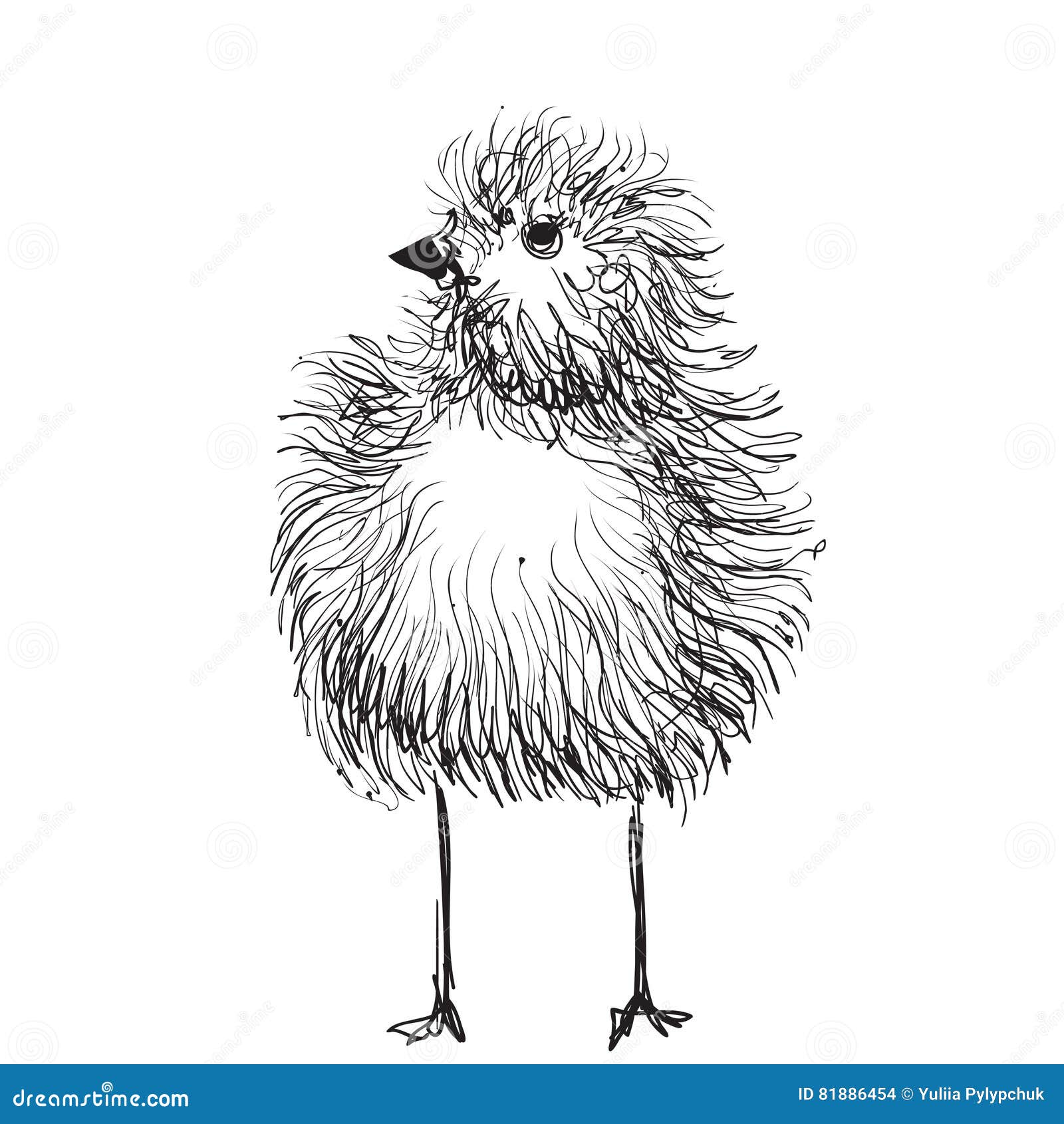 Hand-drawn Pencil Graphics, Chicken, Chick. Stock Vector - Illustration ...