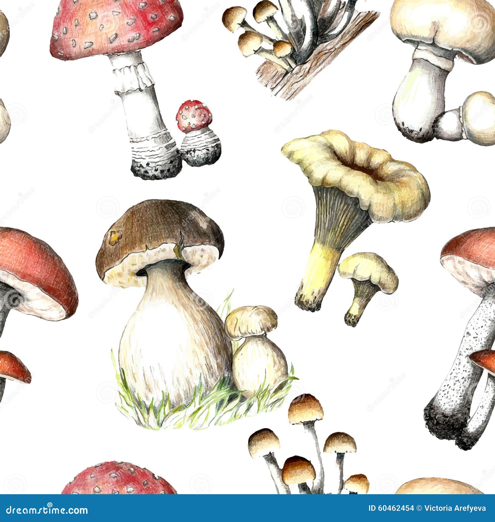 Hand Drawn Pencil Painting Seamless Pattern Mushrooms. Stock ...