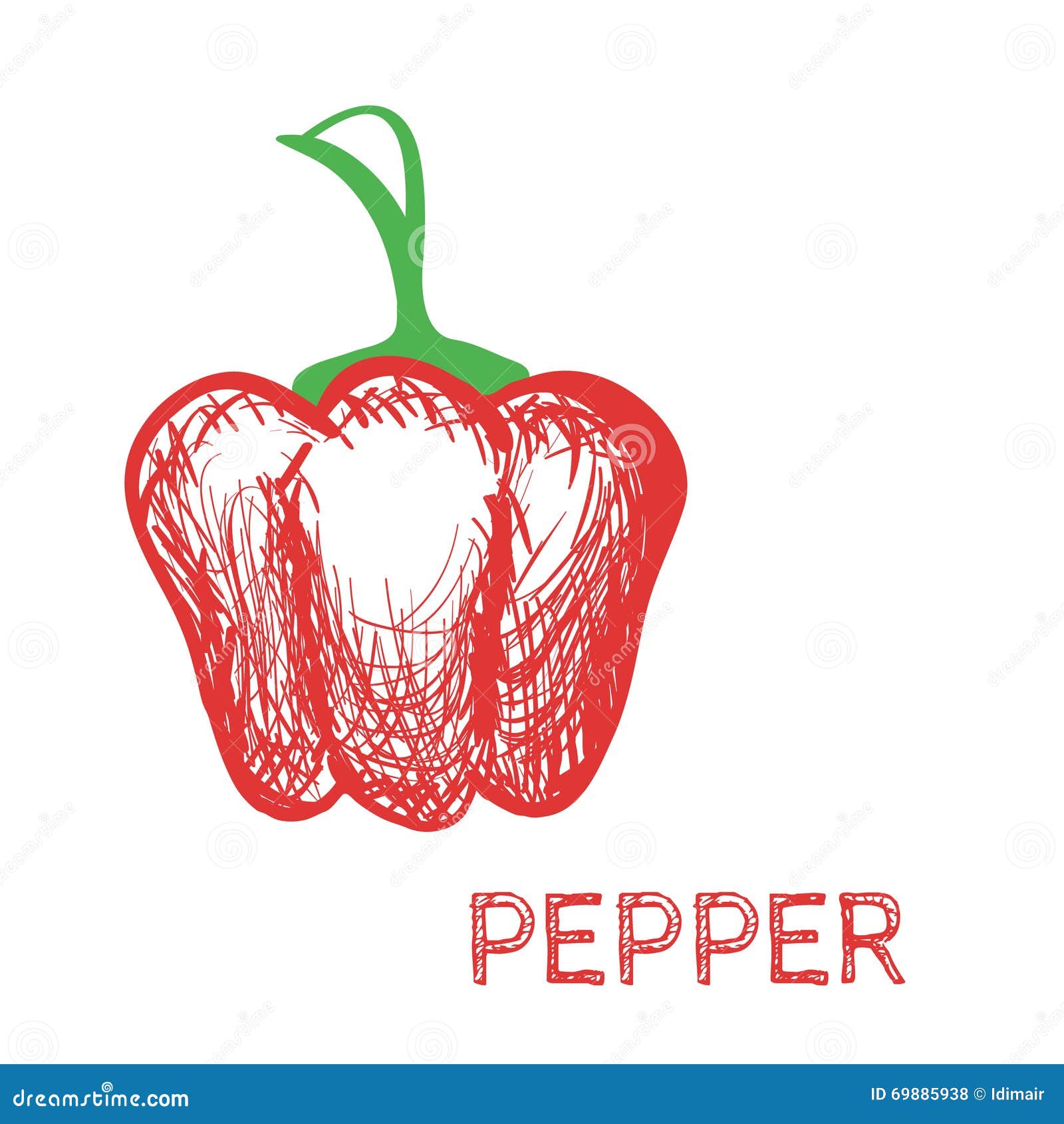 Hand Drawn Pepper Sketch Vector Stock Vector - Illustration of vintage ...