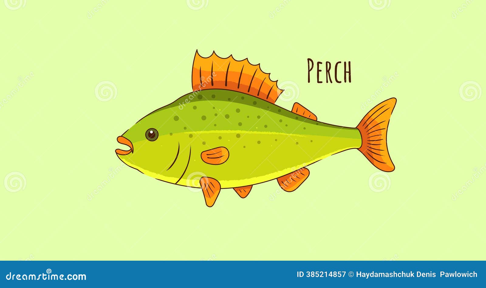 Perch Fish Hand Drawn Isolated On White Background. Black And White ...