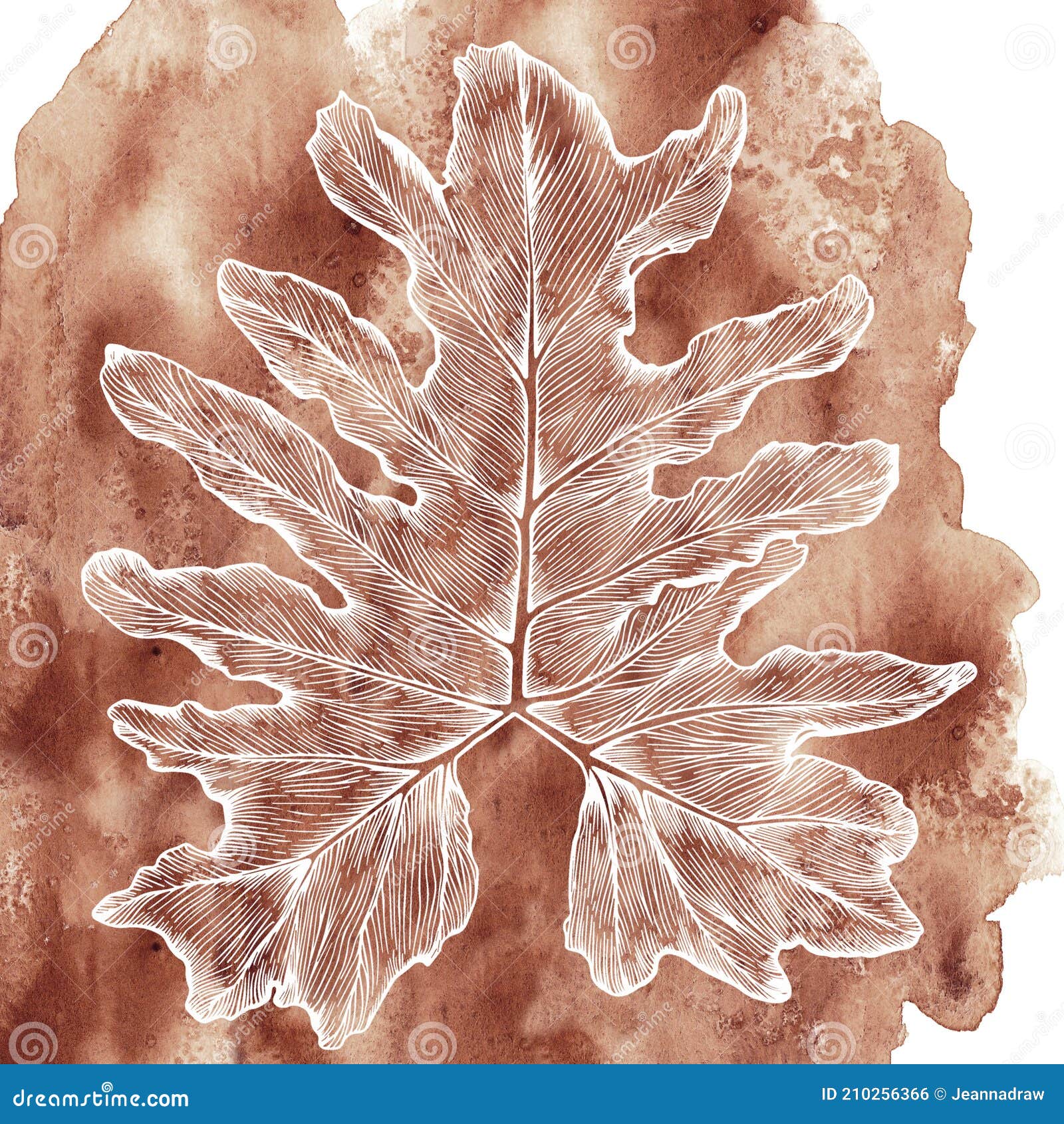 Philodendron Leaf. Line Art Doodle Sketch. Black Outline On White ...