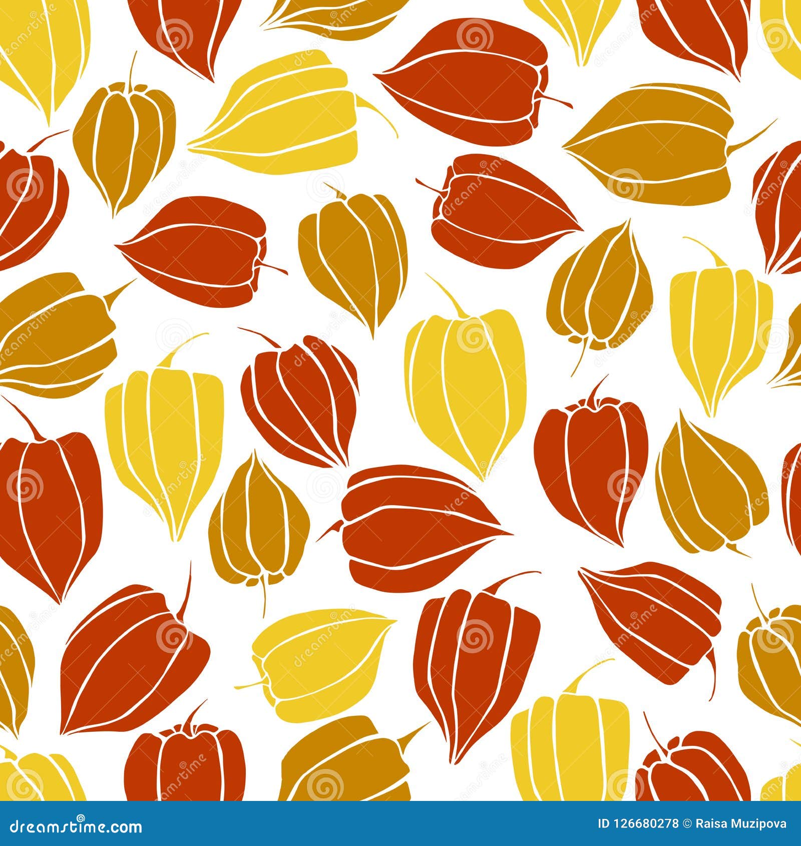 Hand Drawn Physalis Fruit Physalis Peruviana. Vector Seaml Stock Vector ...