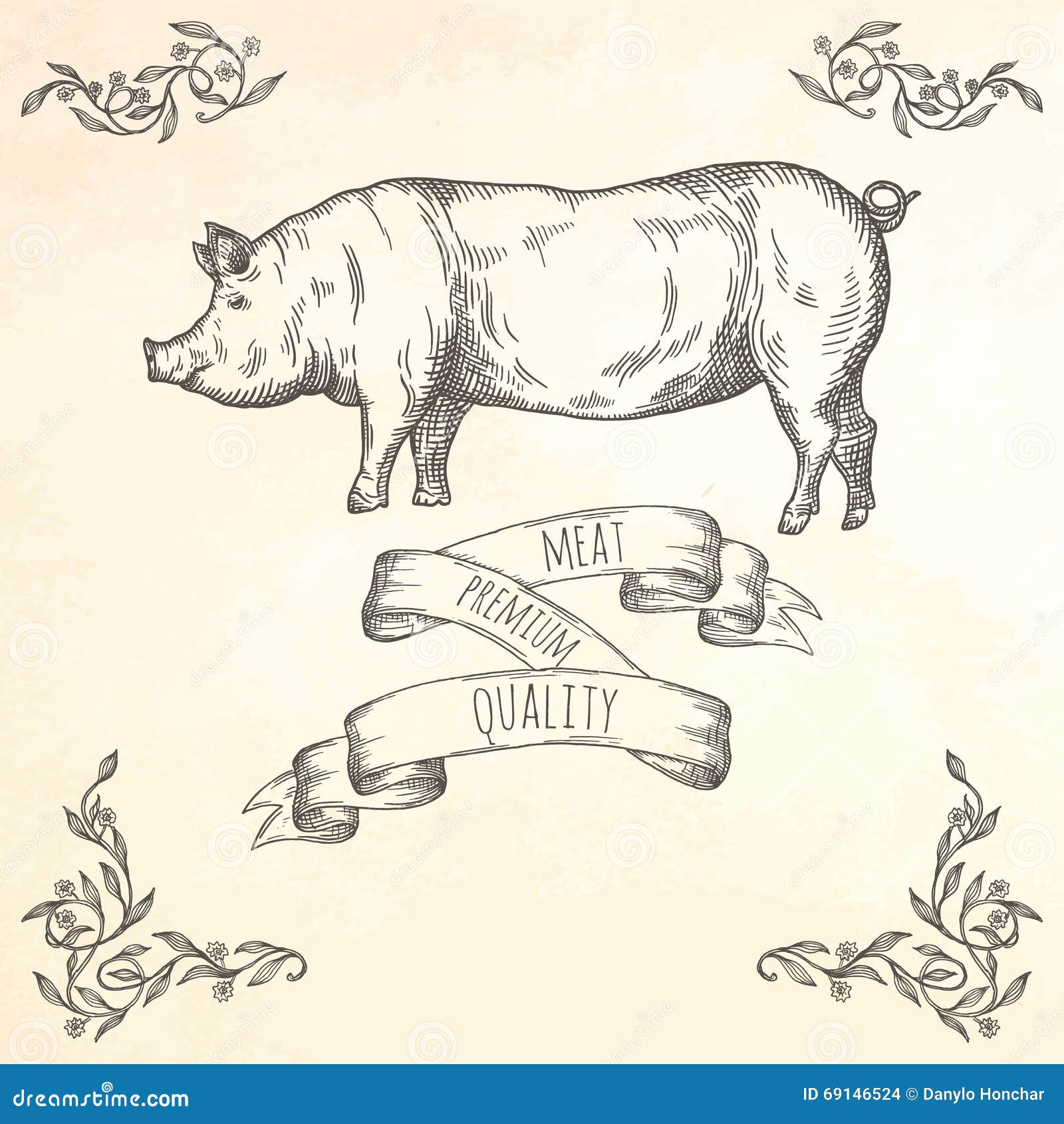 Hand Drawn Pig Illustration. Stock Vector - Illustration of hand ...