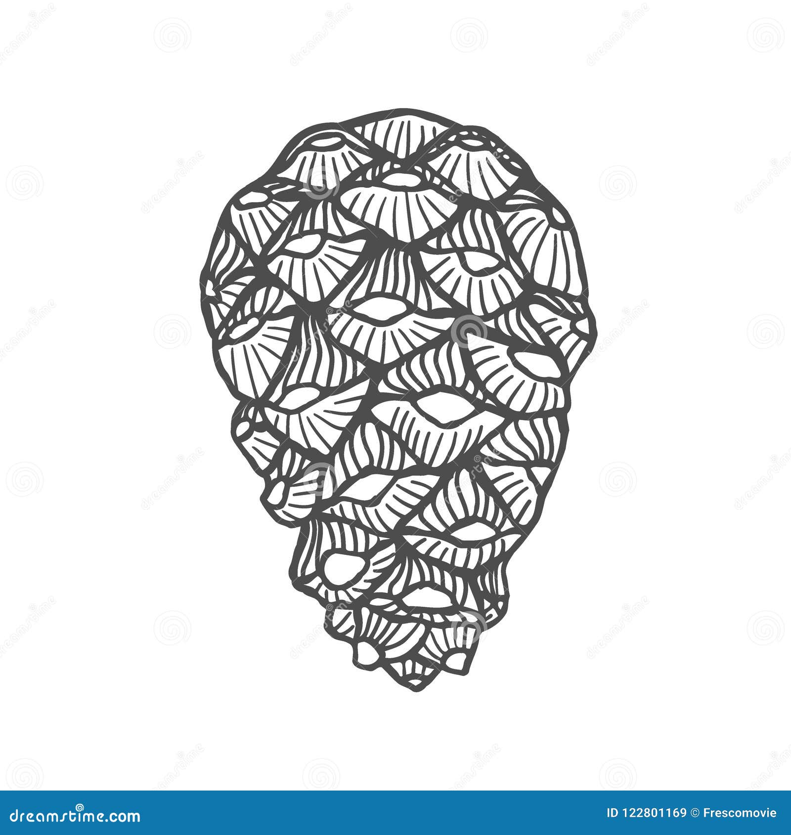 Hand drawn pine cone stock vector. Illustration of engraving - 122801169 Hand drawn pine cone stock vector. Illustration of engraving - 122801169