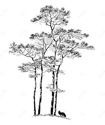 Hand Drawn PINE TREE, Sketch. Stock Vector - Illustration of rural ...