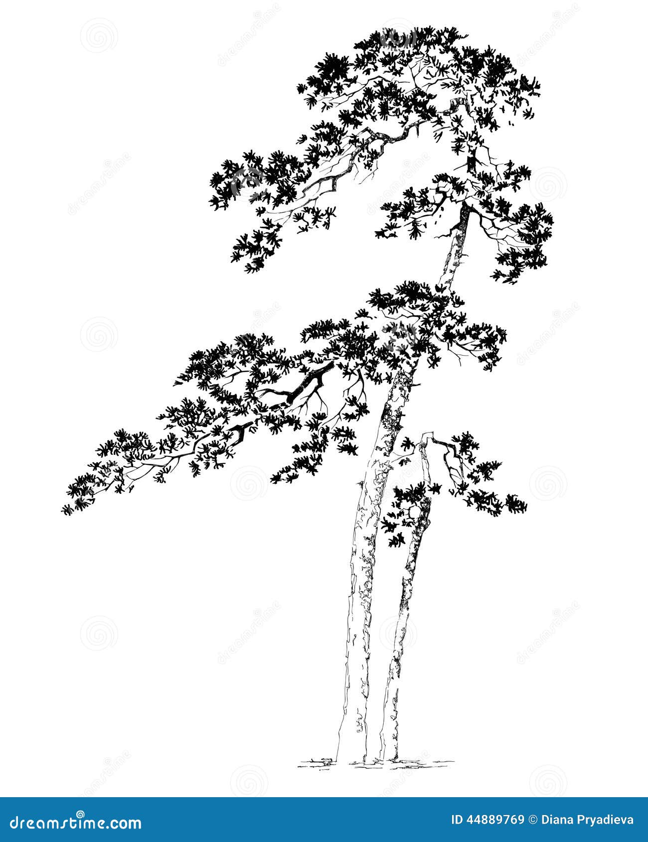 Hand Drawn PINE TREE. Vector Illustration Stock Vector - Illustration ...