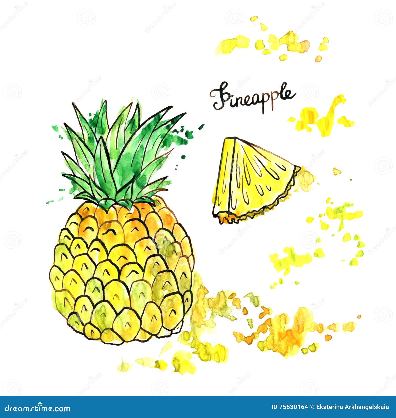 Hand drawn pineapple stock illustration. Illustration of brush - 75630164