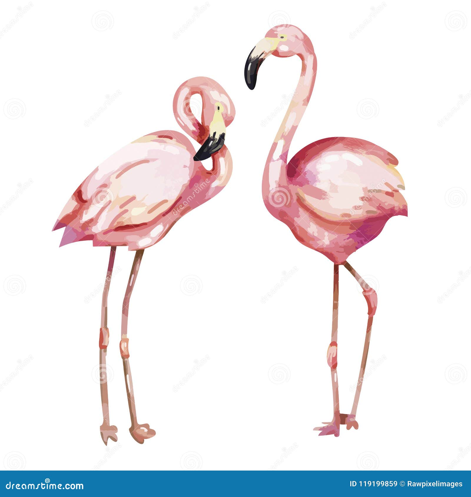 Hand Drawn Pink Flamingo Illustration Stock Illustration - Illustration ...