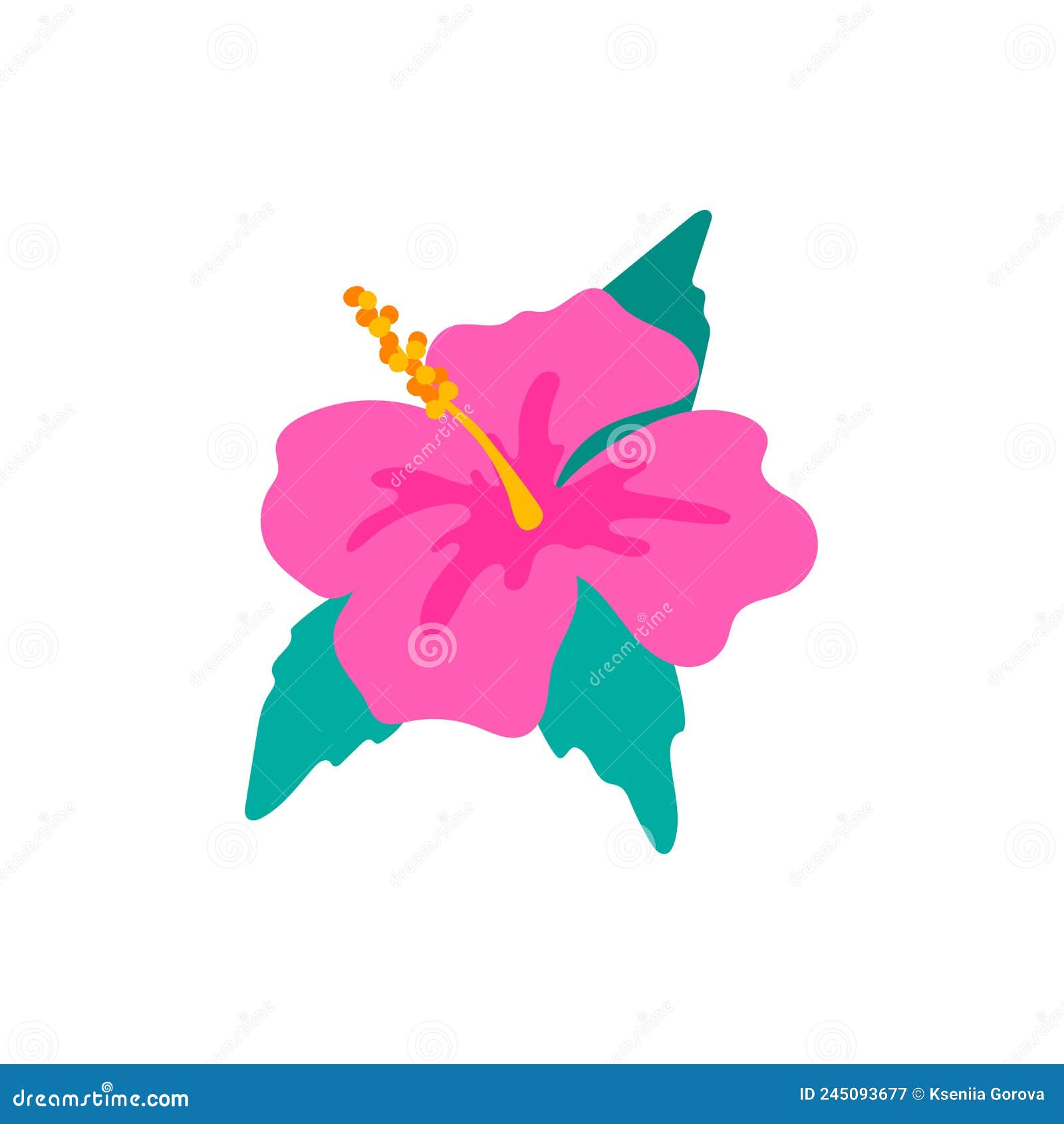 Hand Drawn Pink Hibiscus Flower Isolated on White. Vector Illustration ...