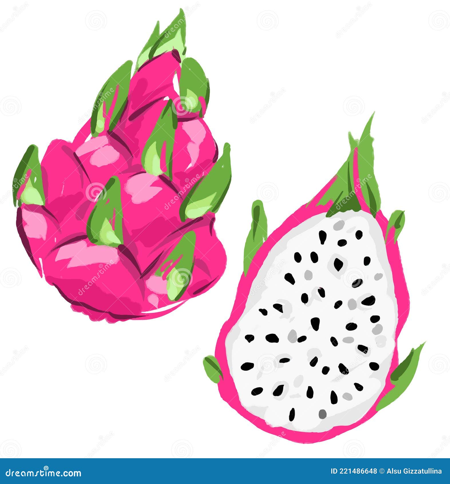 Hand Drawn Pitaya Fruit Vector, Dragon Fruit Set Isolated on a White ...