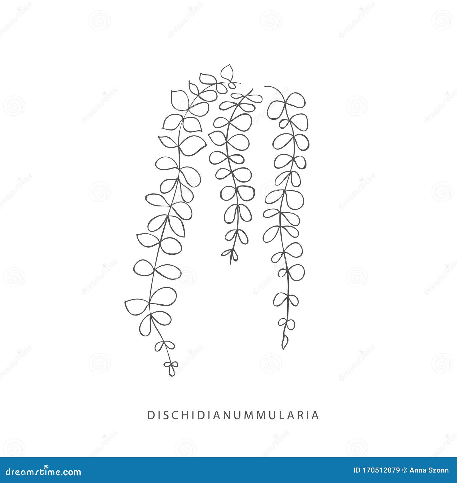 Greenery Design Elements. Botanical Logos Stock Vector - Illustration ...