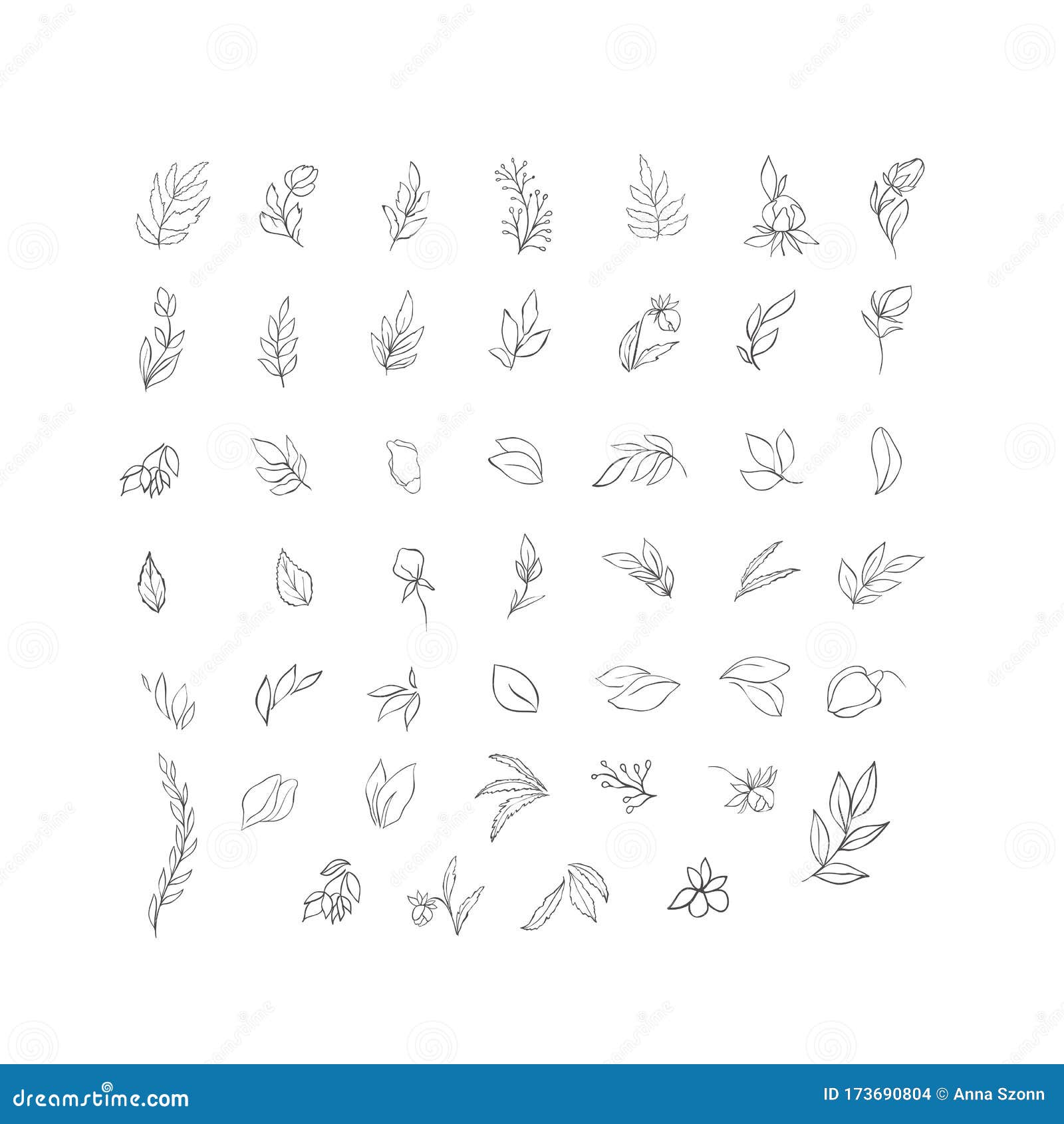 Hand Drawn Plant Branches. Greenery Design Elements. Botanical Logos ...