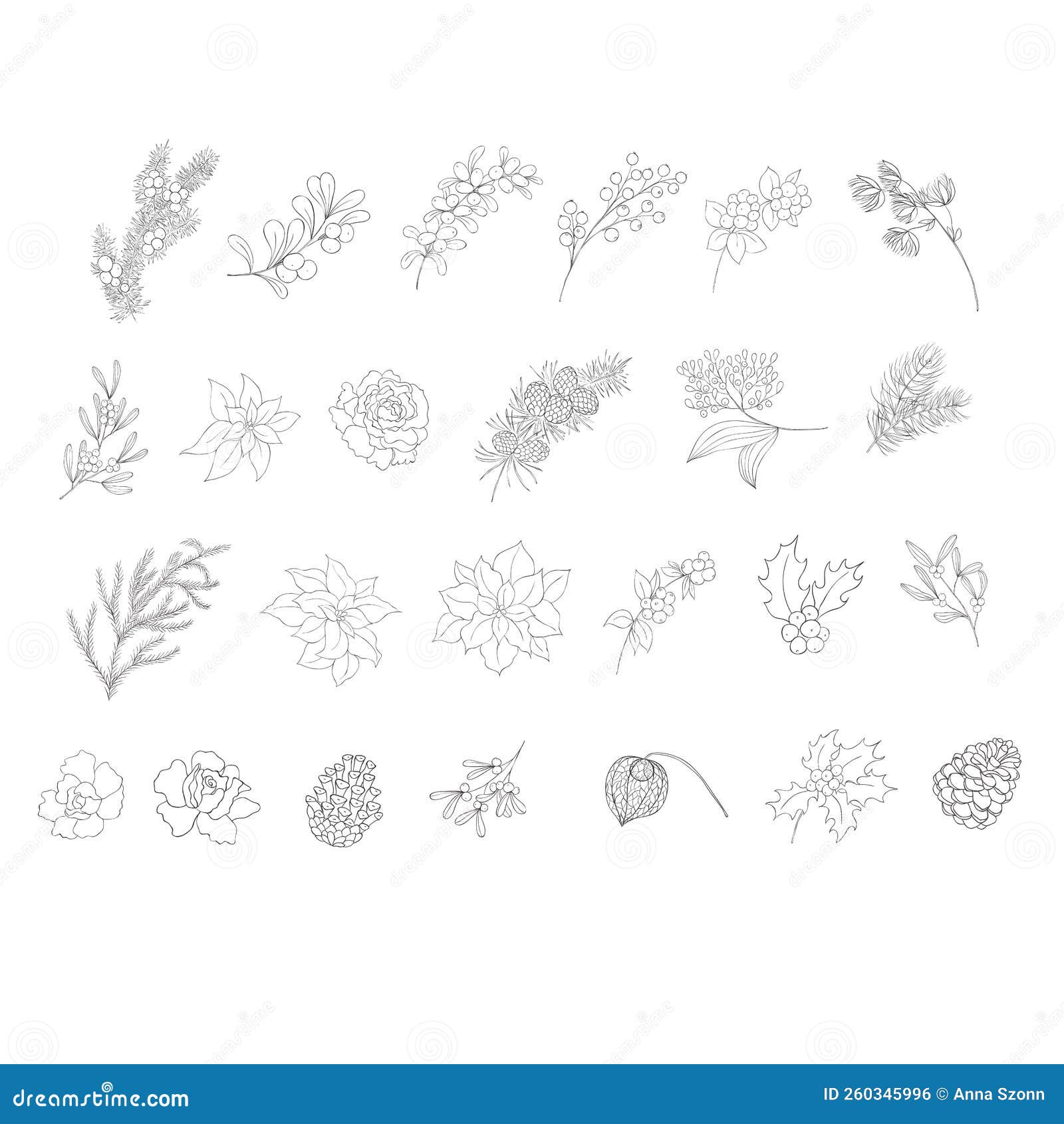 Hand Drawn Plant Branches. Winter Plants Set Stock Illustration ...
