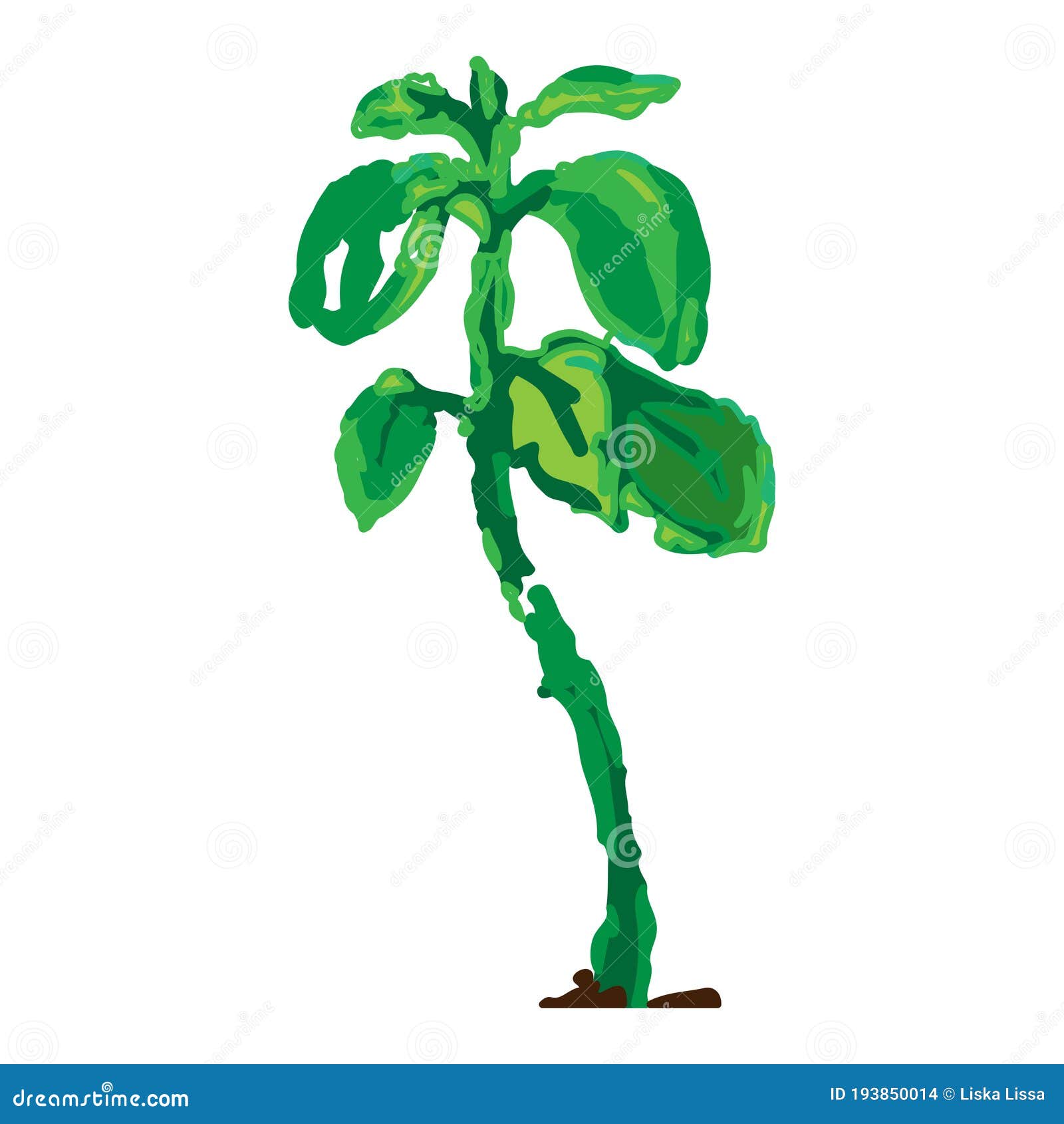 Hand drawn plant stock illustration. Illustration of botanical - 193850014