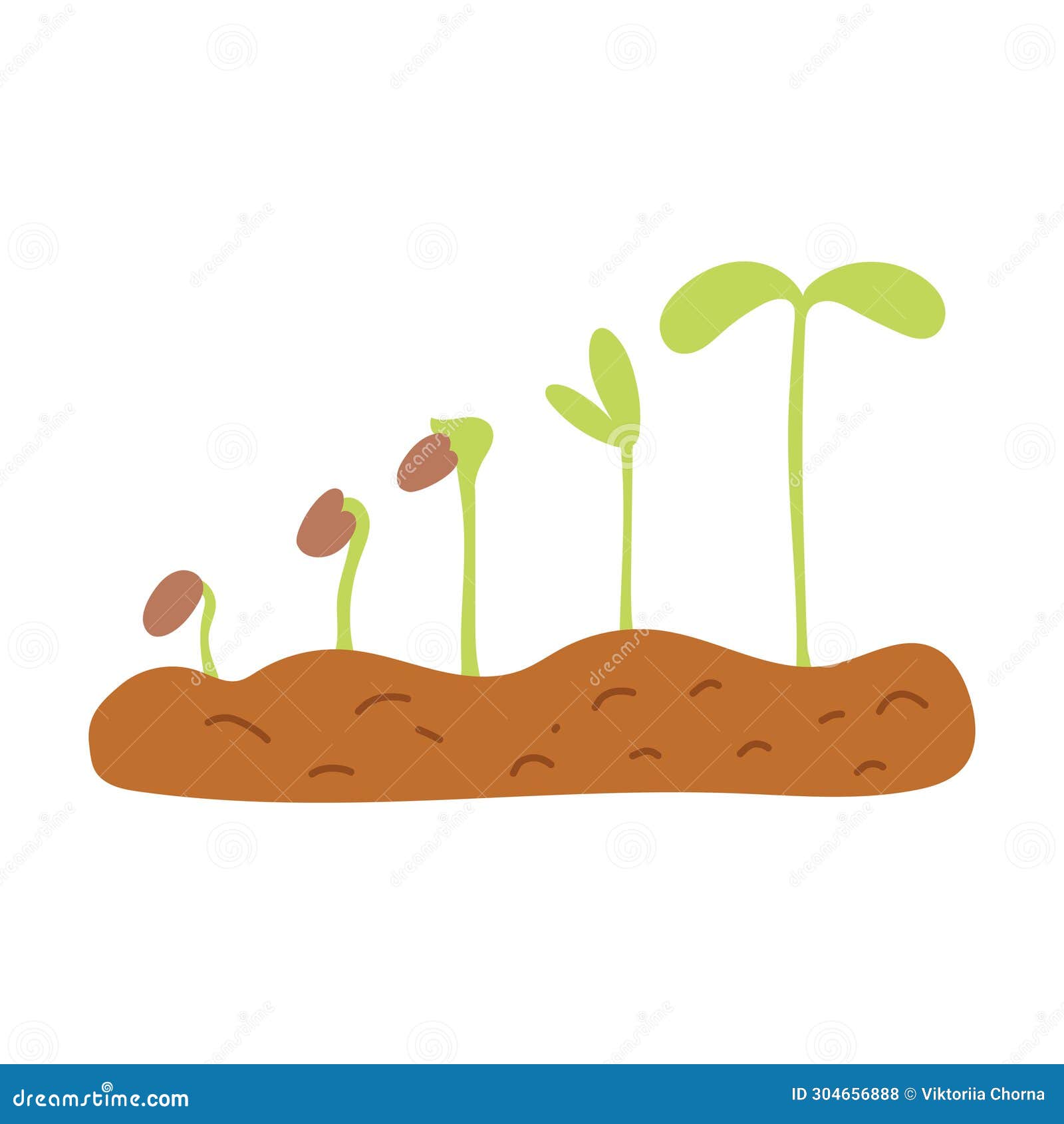 Hand Drawn Plant Growing Stages, Sprout Grow Process Stock Illustration ...