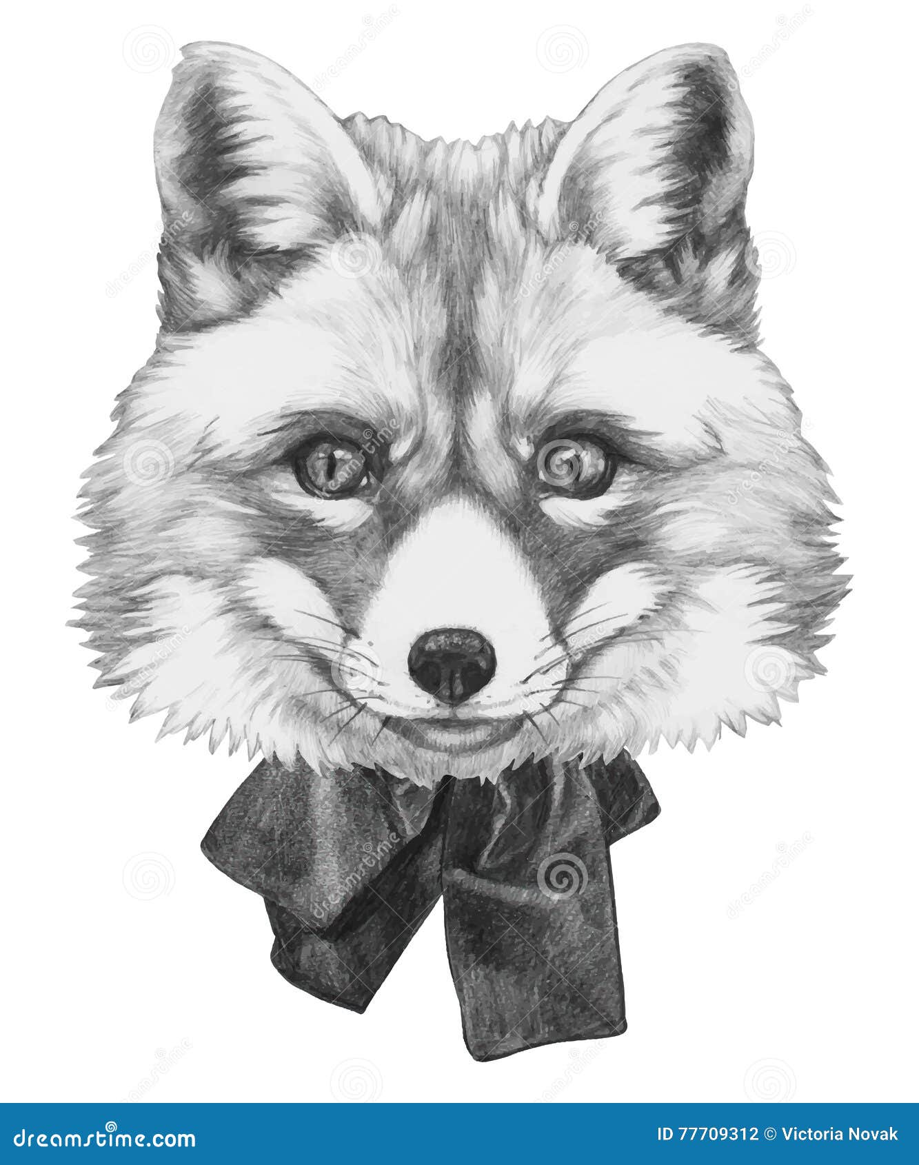 Hand Drawn Portrait of Fox with Scarf. Stock Vector - Illustration of ...