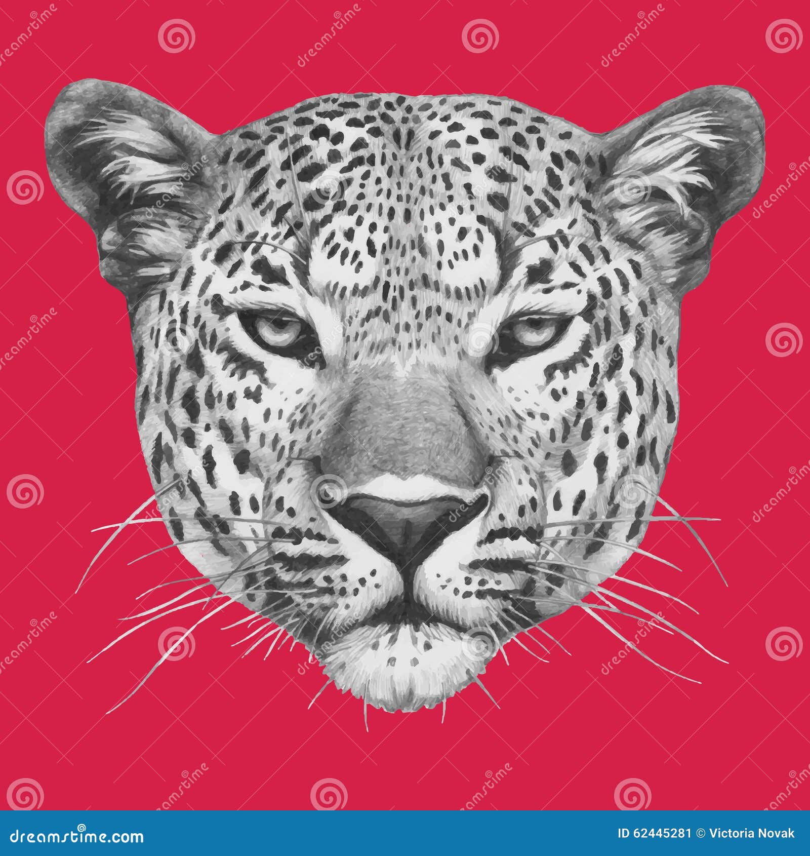 Hand Drawn Portrait of Leopard. Stock Vector - Illustration of lines ...
