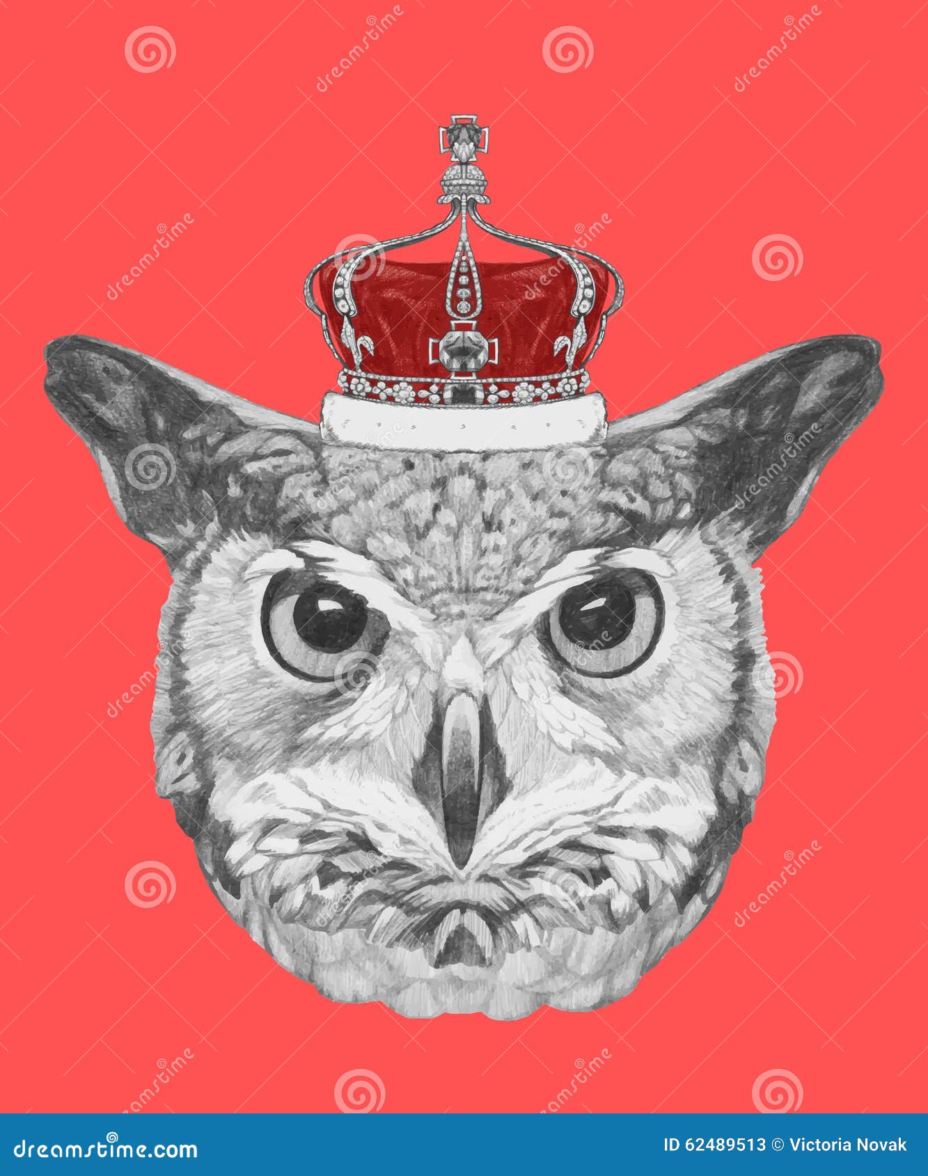 Hand Drawn Portrait of Owl with Crown. Stock Vector - Illustration of ...