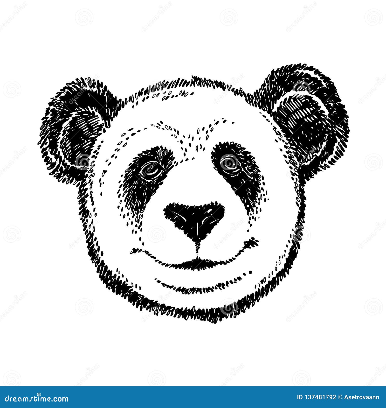 Hand Drawn Portrait of Panda. Vector Illustration Isolated on White ...