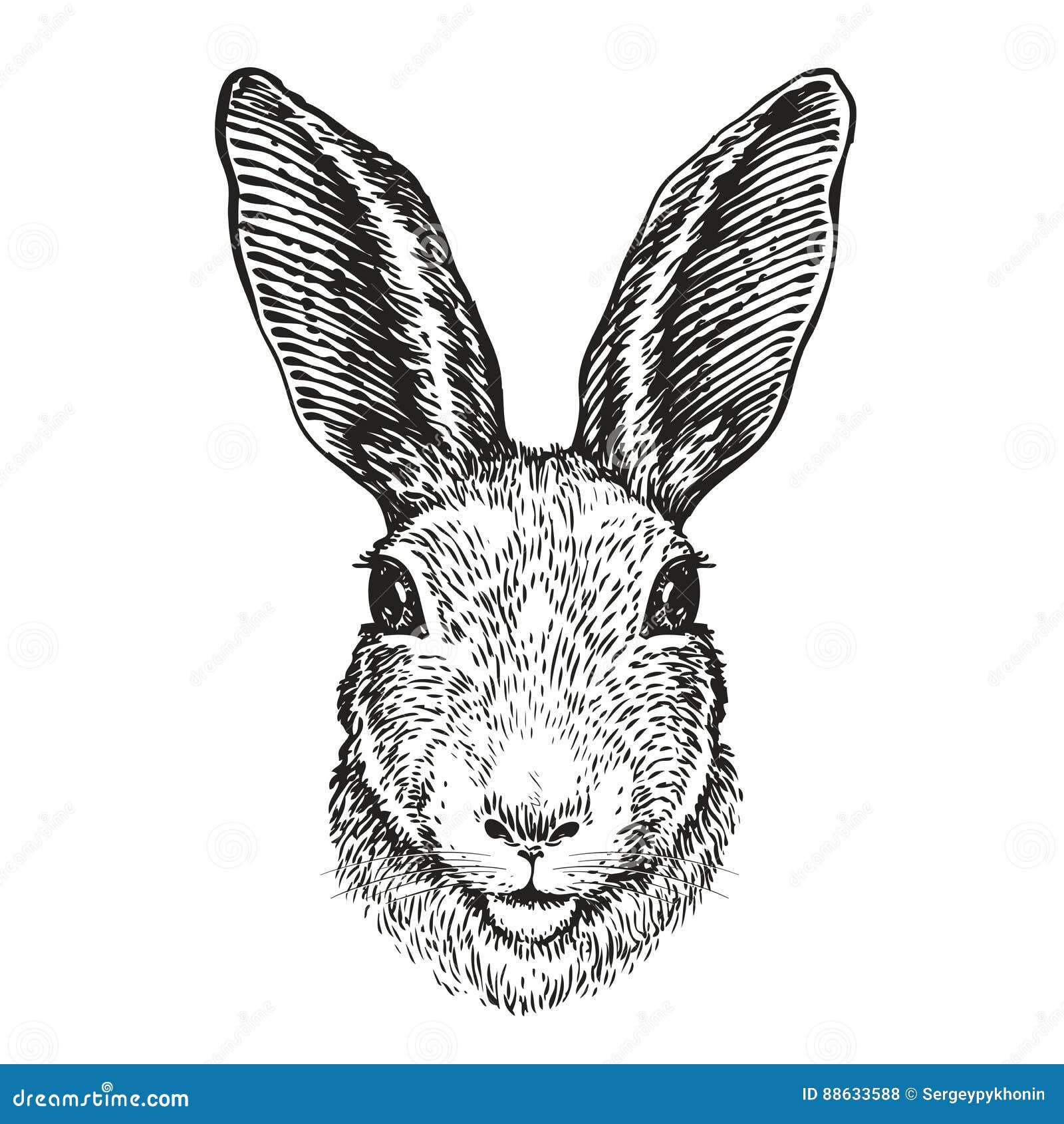 Hand-drawn Portrait of Rabbit. Easter Bunny, Sketch Stock Vector ... Hand-drawn Portrait of Rabbit. Easter Bunny, Sketch Stock Vector ...