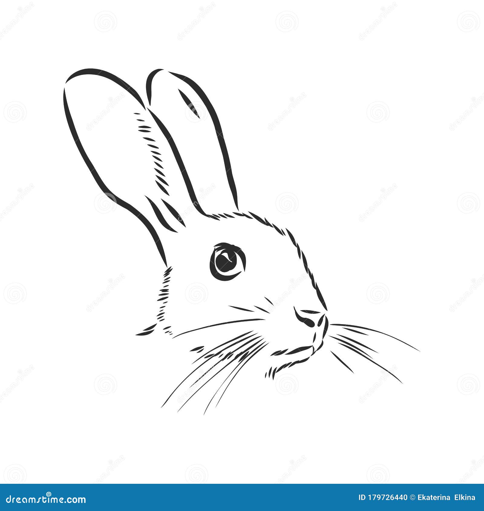 Hand-drawn Portrait of Rabbit. Vector Illustration. Portrait of a Hare ...