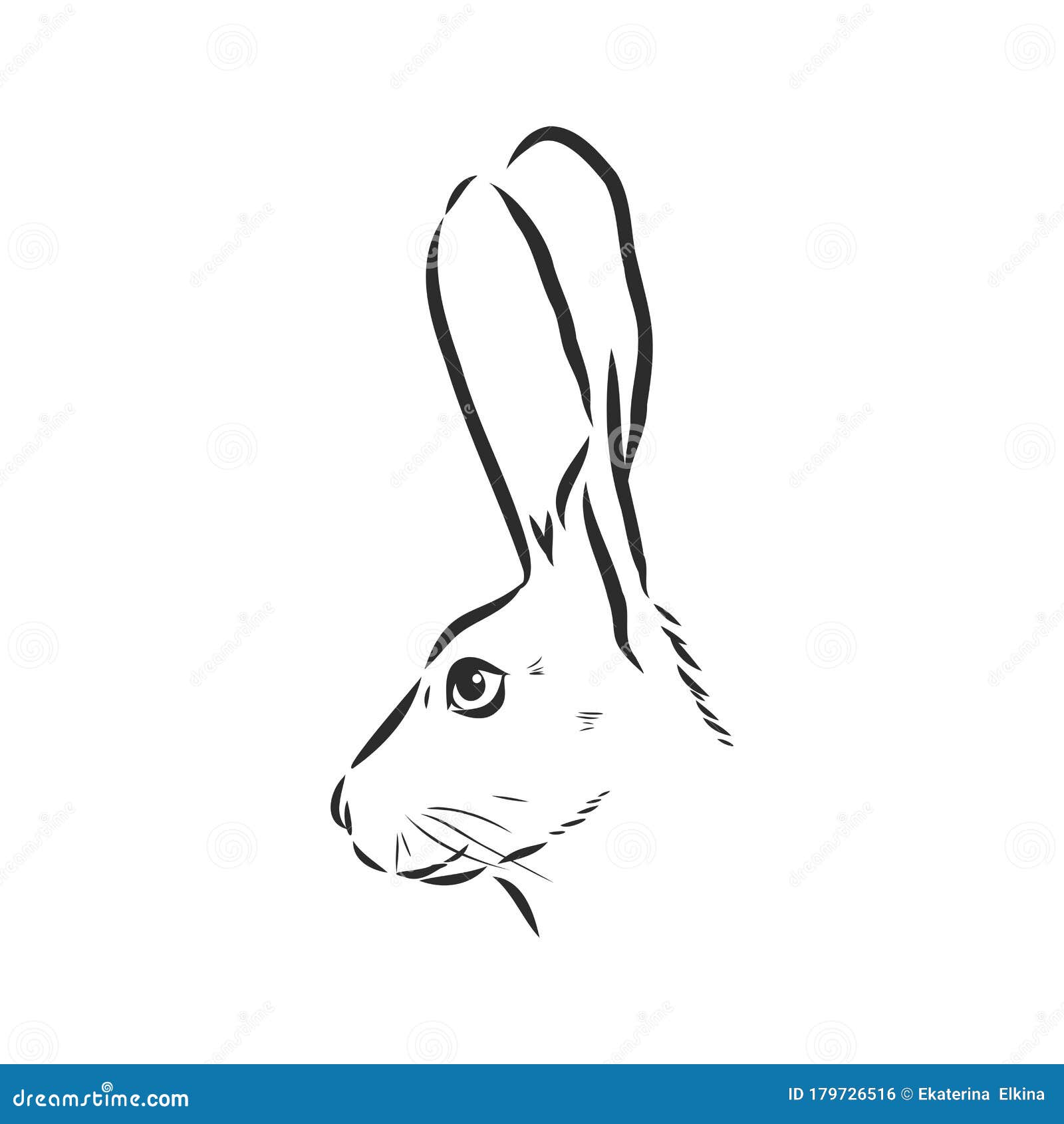 Hand-drawn Portrait of Rabbit. Vector Illustration. Portrait of a Hare ...