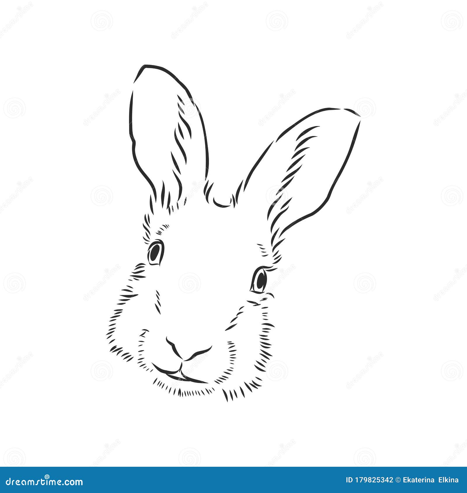 Hand-drawn Portrait of Rabbit. Vector Illustration. Portrait of a Hare ...