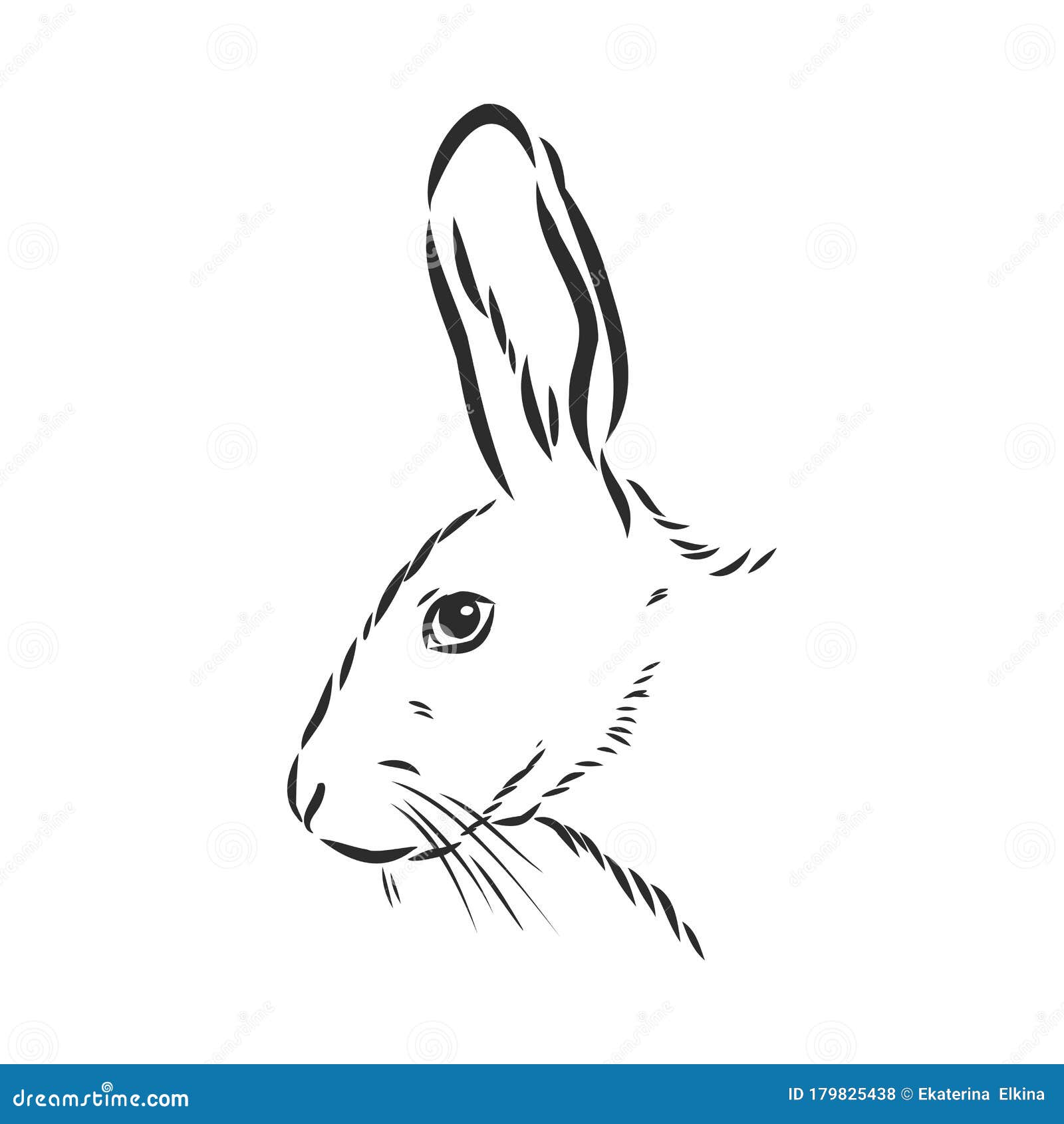 Hand-drawn Portrait of Rabbit. Vector Illustration. Portrait of a Hare ...