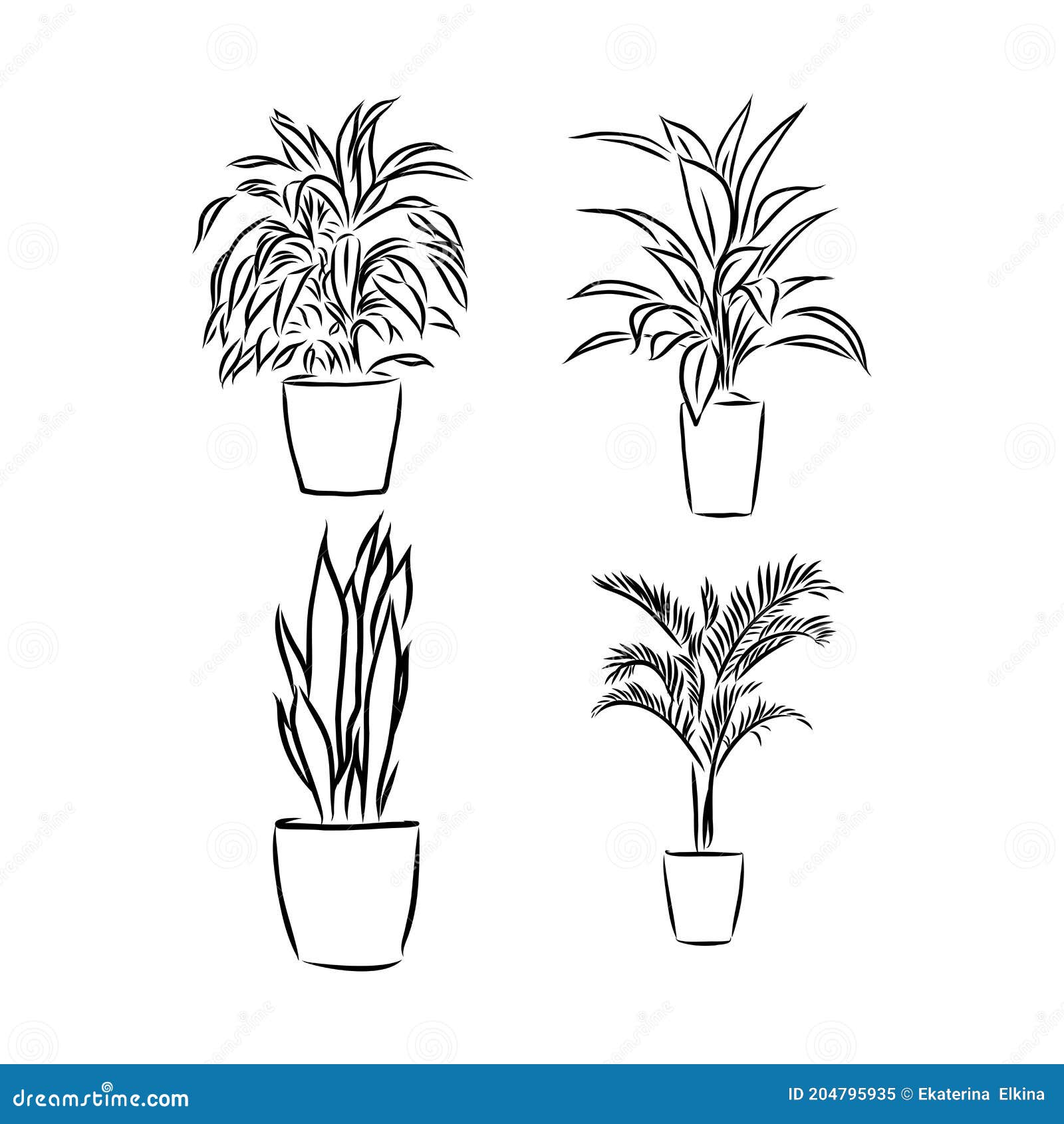 Hand Drawn Pot Plants Vector Set. Indoor Plants Vector Sketch ...