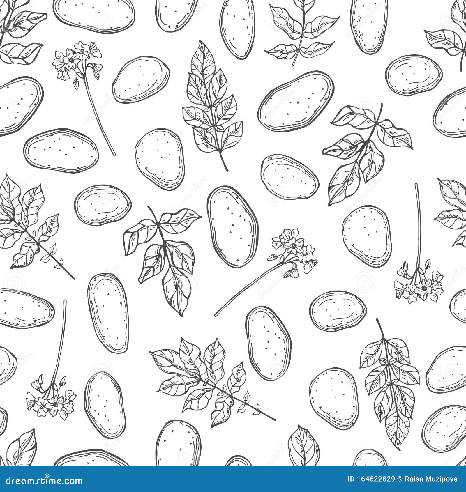 Hand Drawn Potato Plant. Vector Seamless Pattern Stock Vector ...
