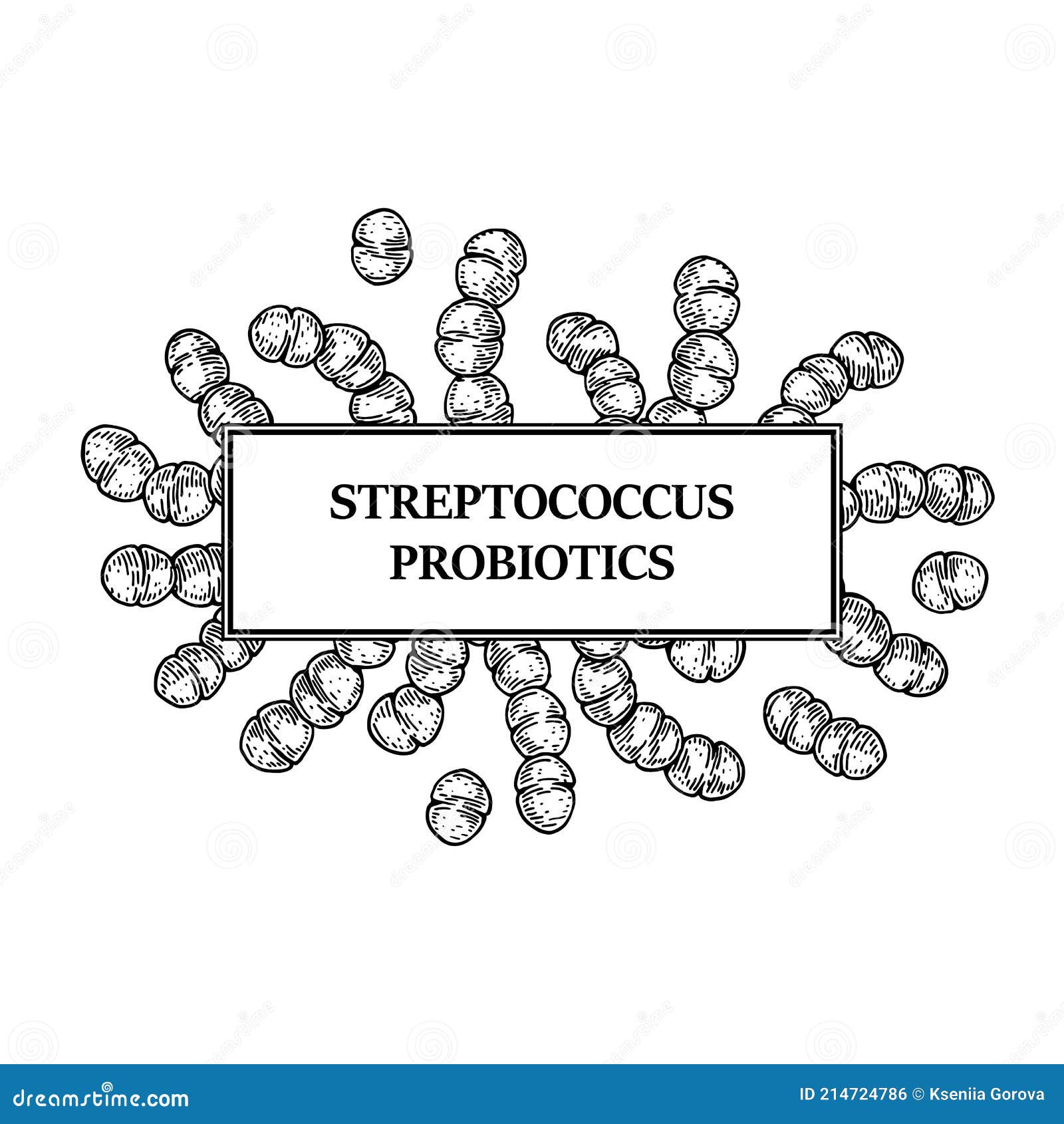Hand Drawn Probiotic Streptococcus Bacteria Frame. Design for Packaging ...